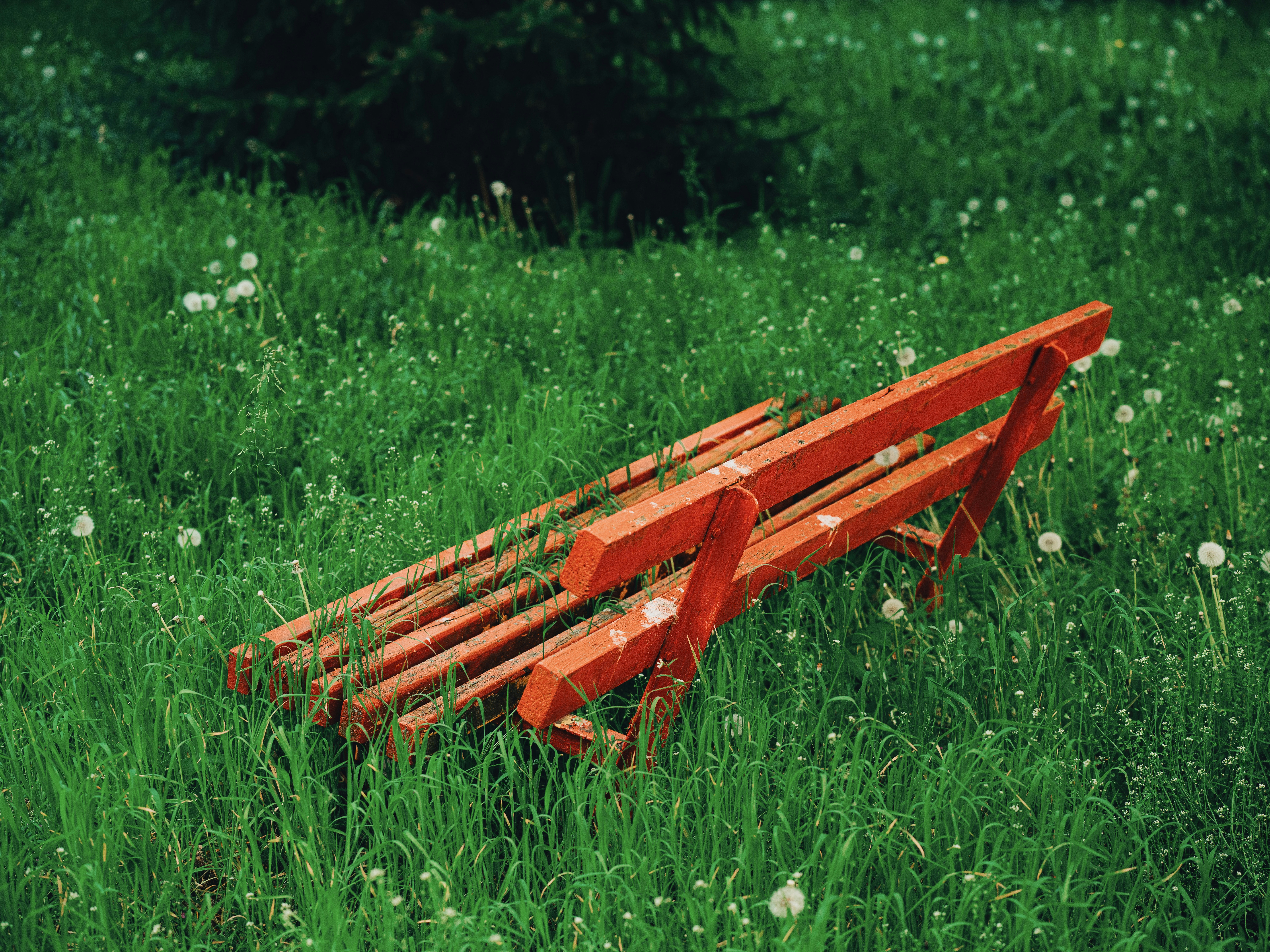 Photo by Egor Komarov with Hasselblad X1D II 50C