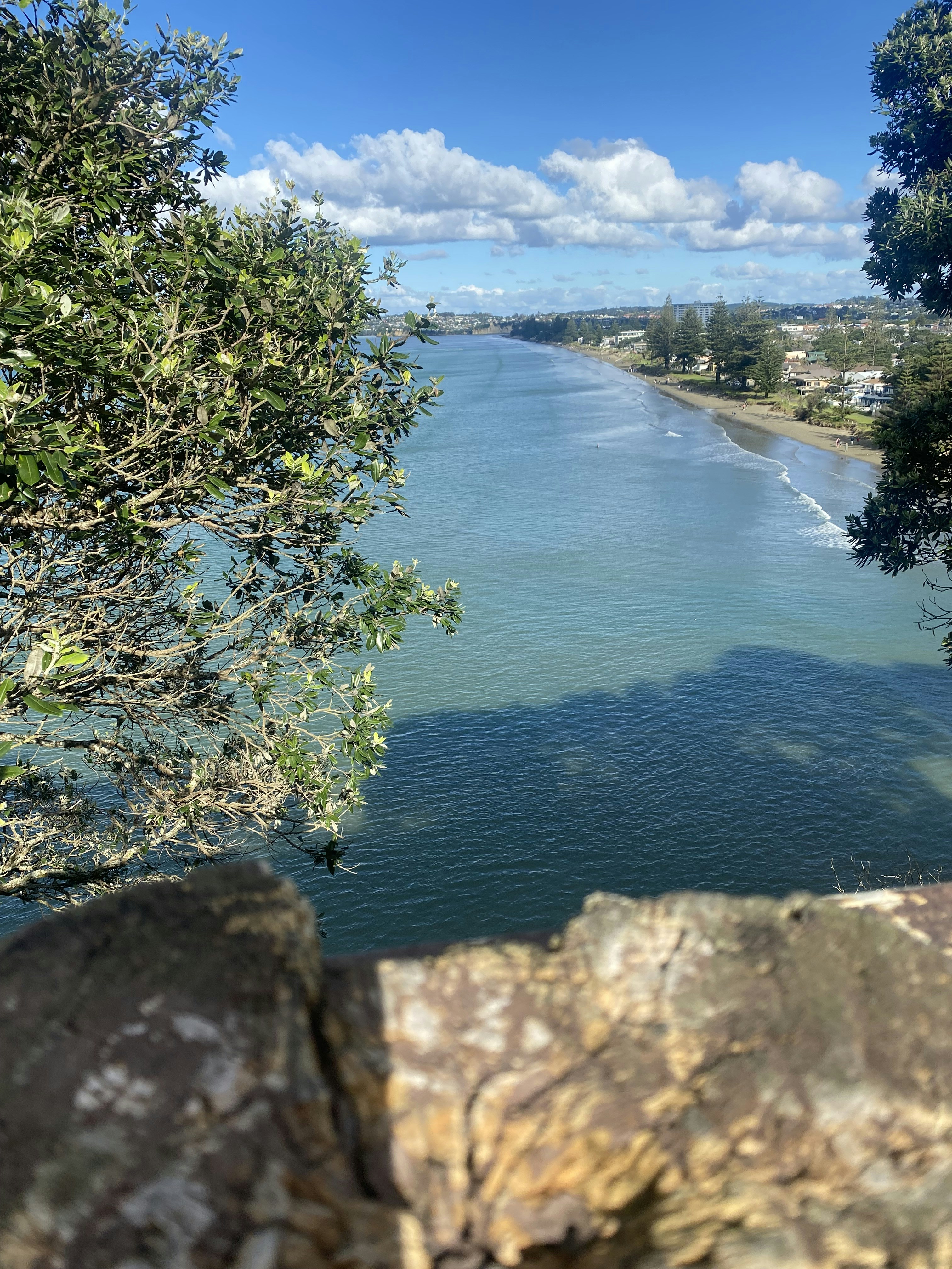 Cliffside Vista Over a Quiet Bay