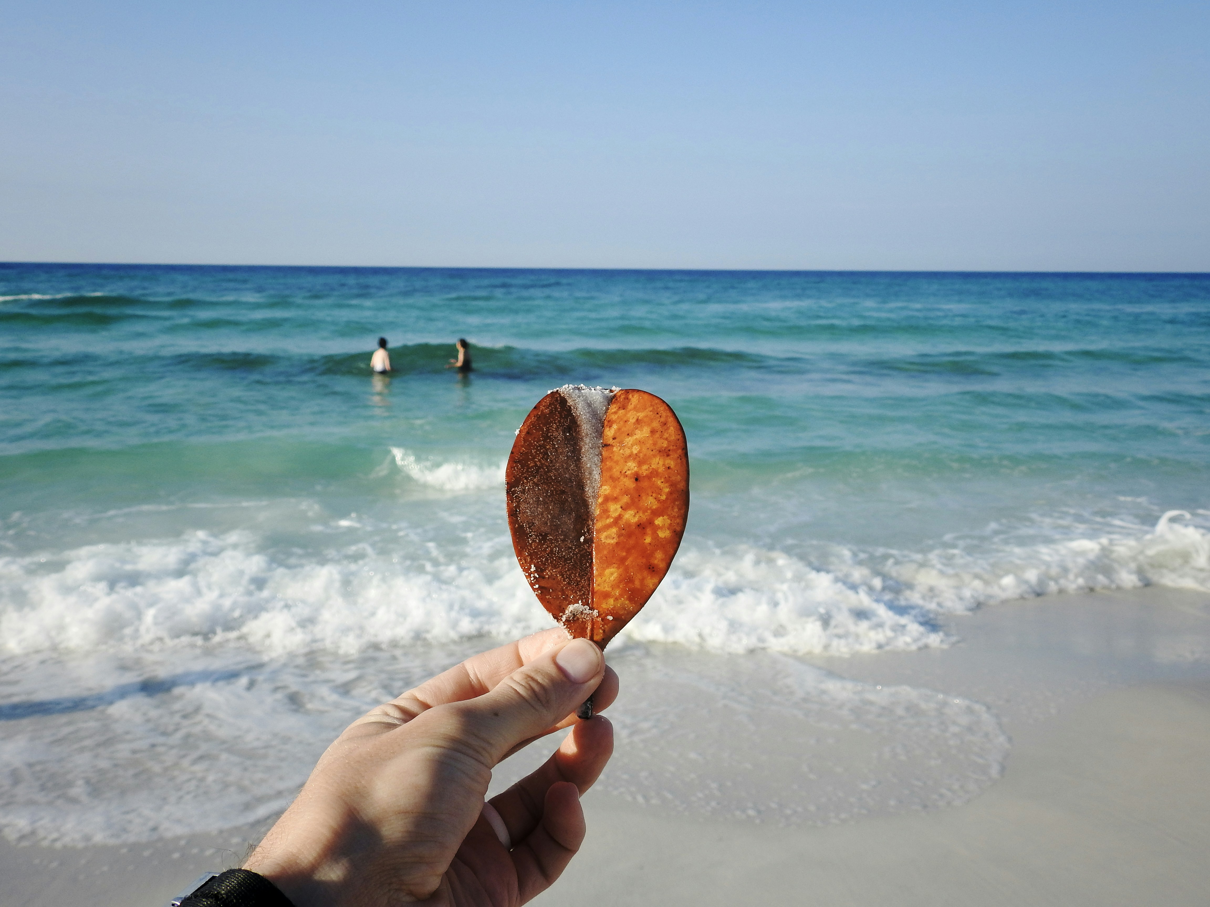 Rusted Heart Shell Framed by Turquoise Sea on a Quiet Beach