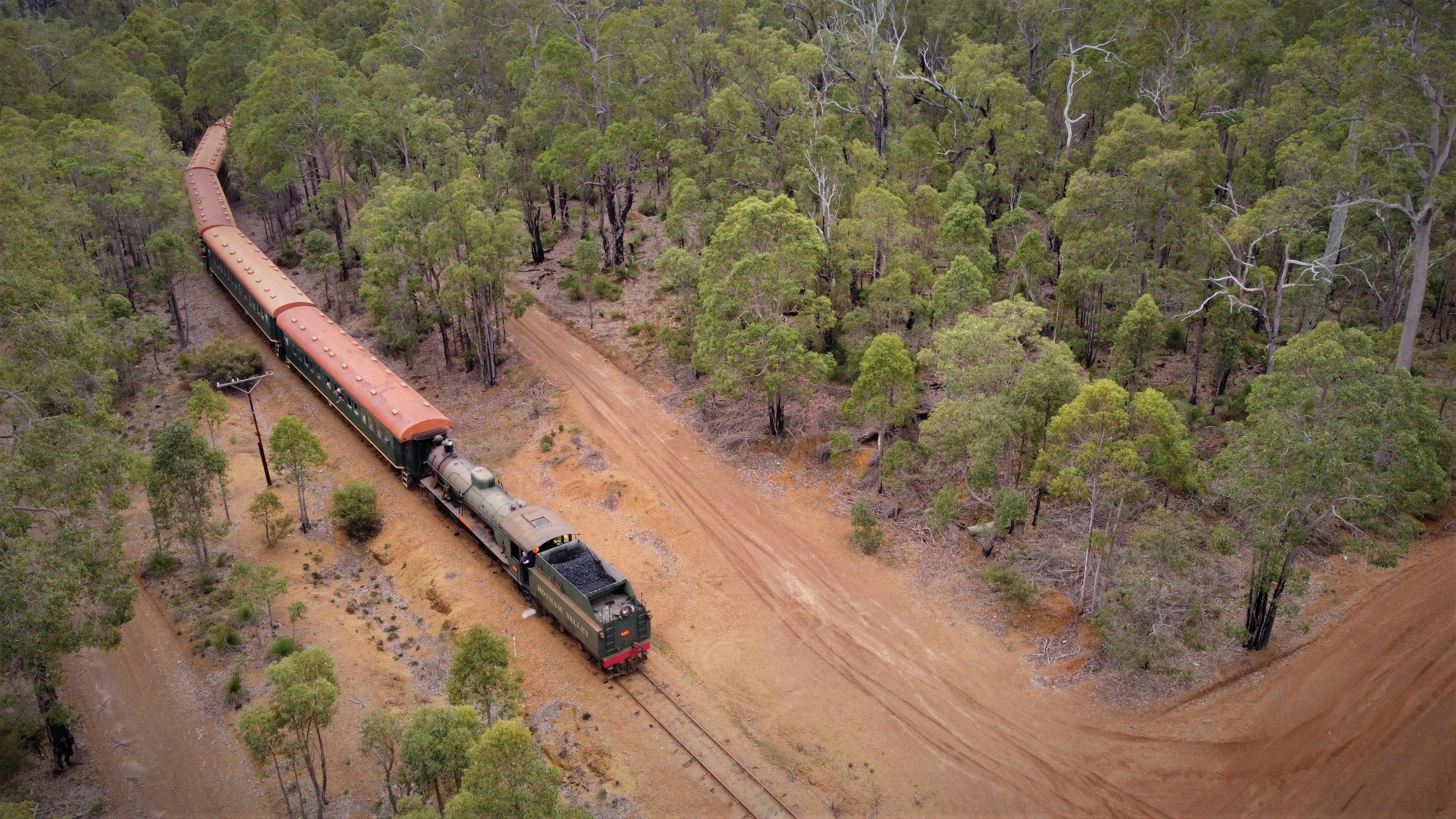 Winding Through Pines: A Freight Train on a Dusty Curve