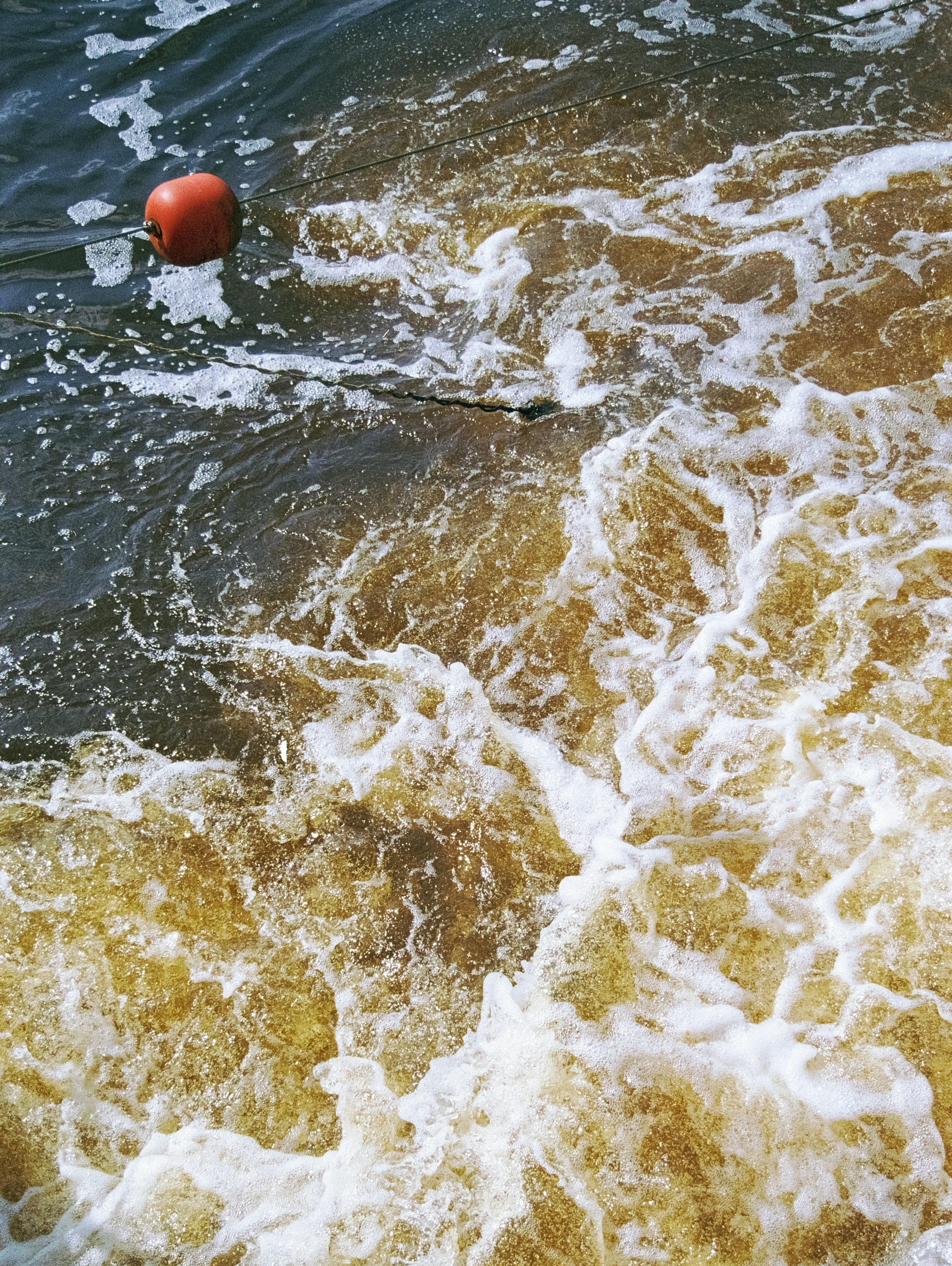 A red ball floating on top of a body of water photo – Free Netherlands ...