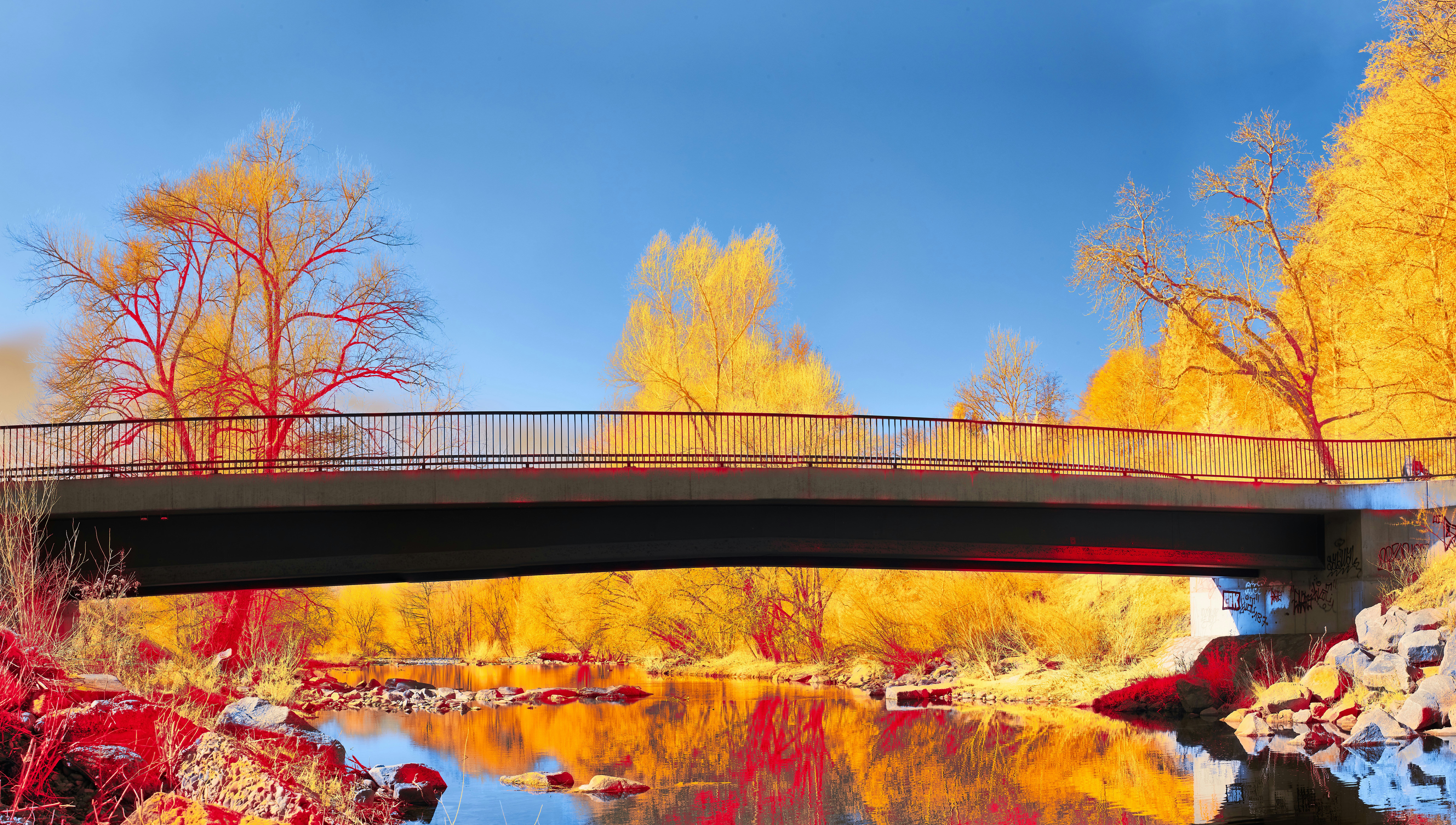 A bridge over a body of water surrounded by trees photo – Free Nature ...