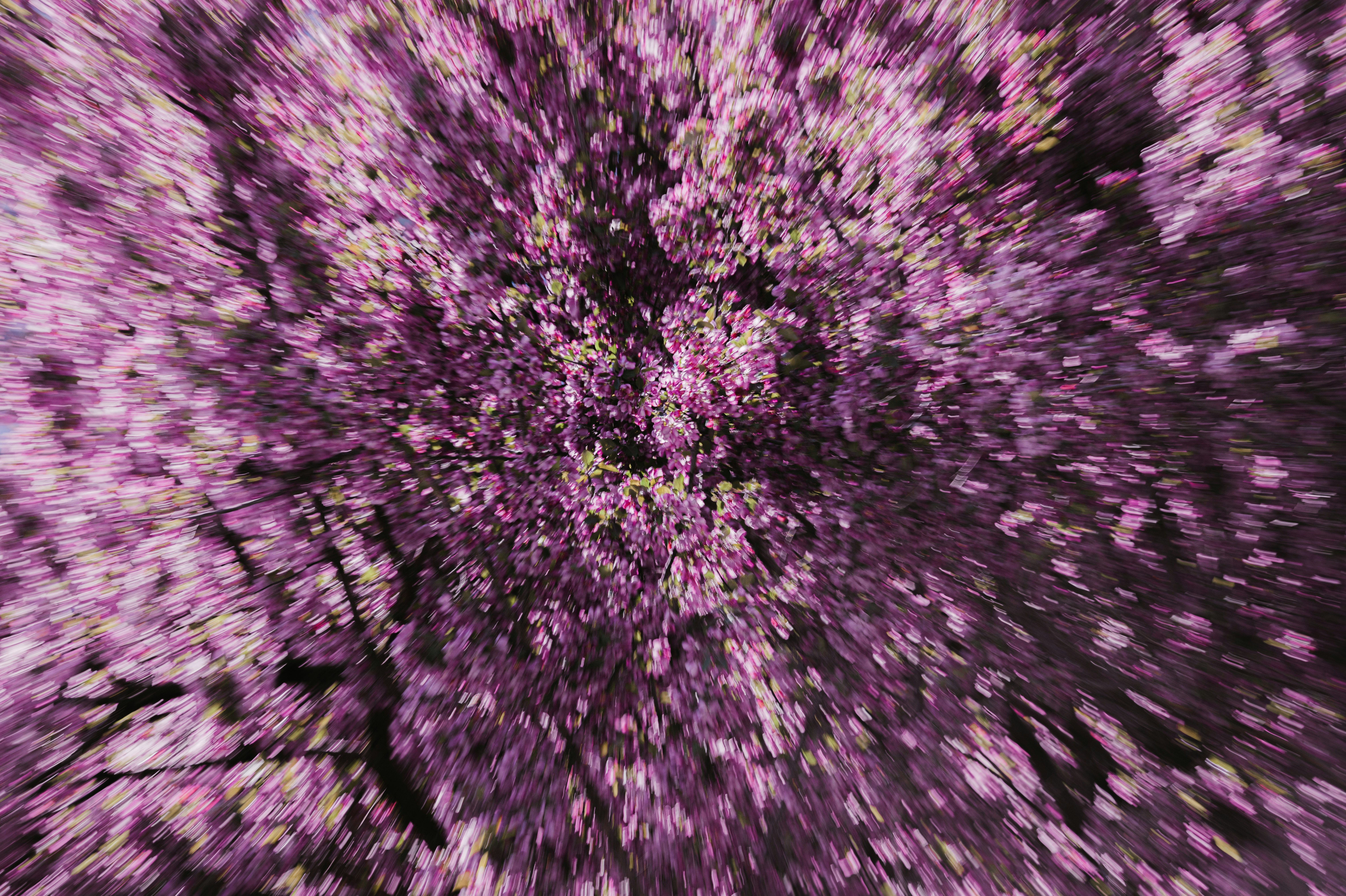 Photo by Ryunosuke Kikuno with Nikon Z6 II