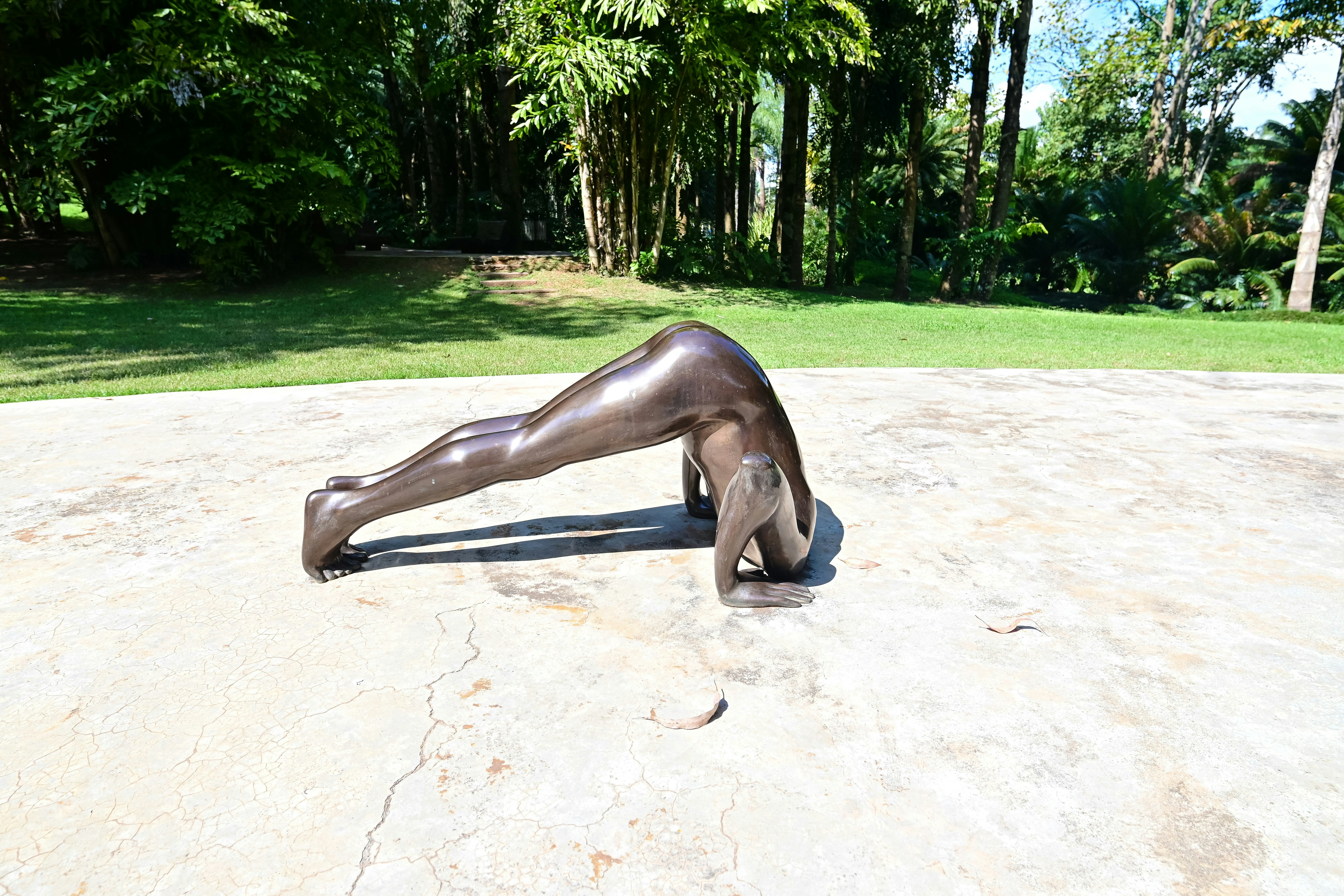 Instituto Inhotim is a contemporary art museum and botanical garden located in Brumadinho, Minas Gerais. Recognized as a Civil Society Organization of Public Interest (OSCIP, in Portuguese) by the Government of Minas Gerais since 2008