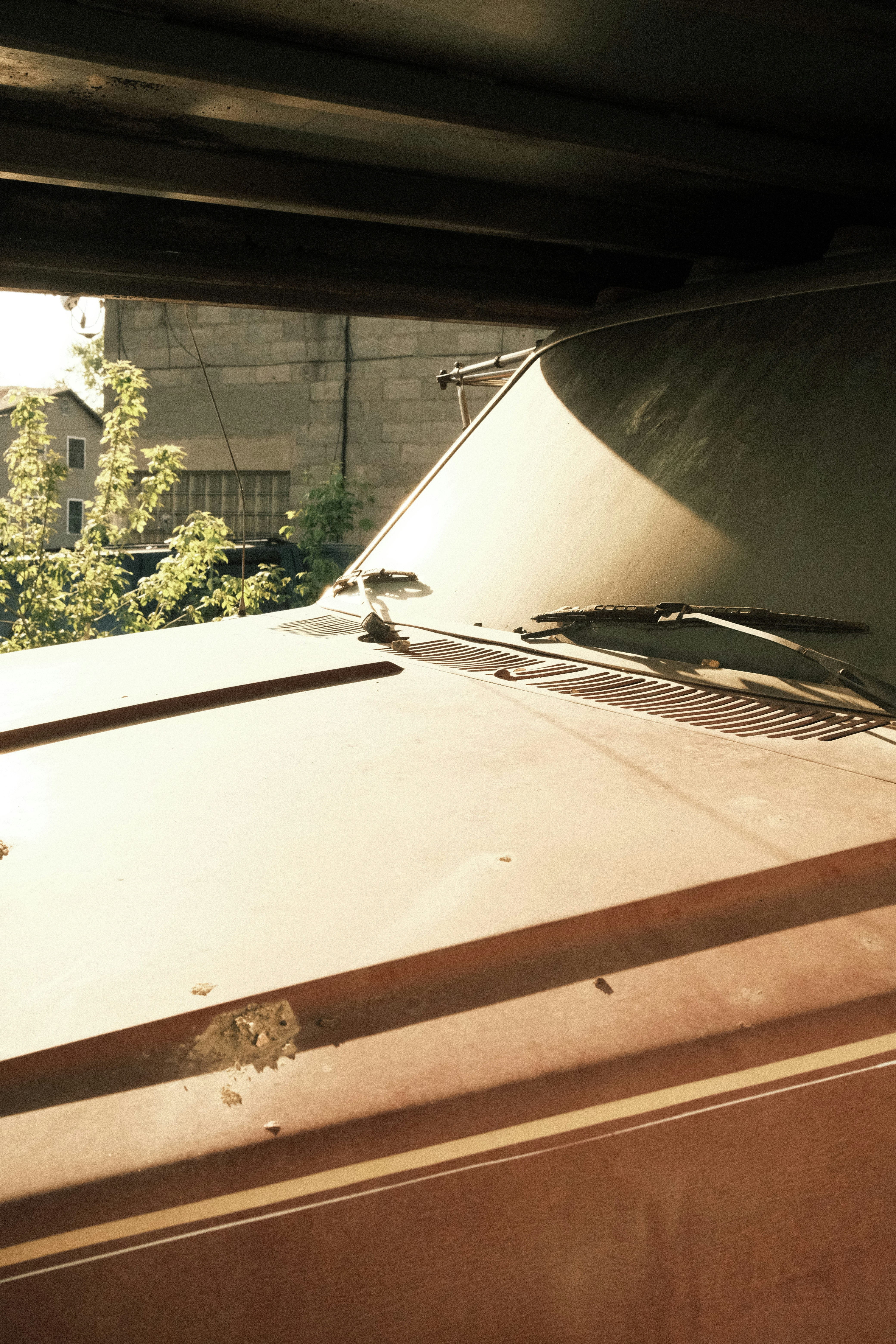 A Sunlit Hood: The Dusty Hood of a Vintage Truck