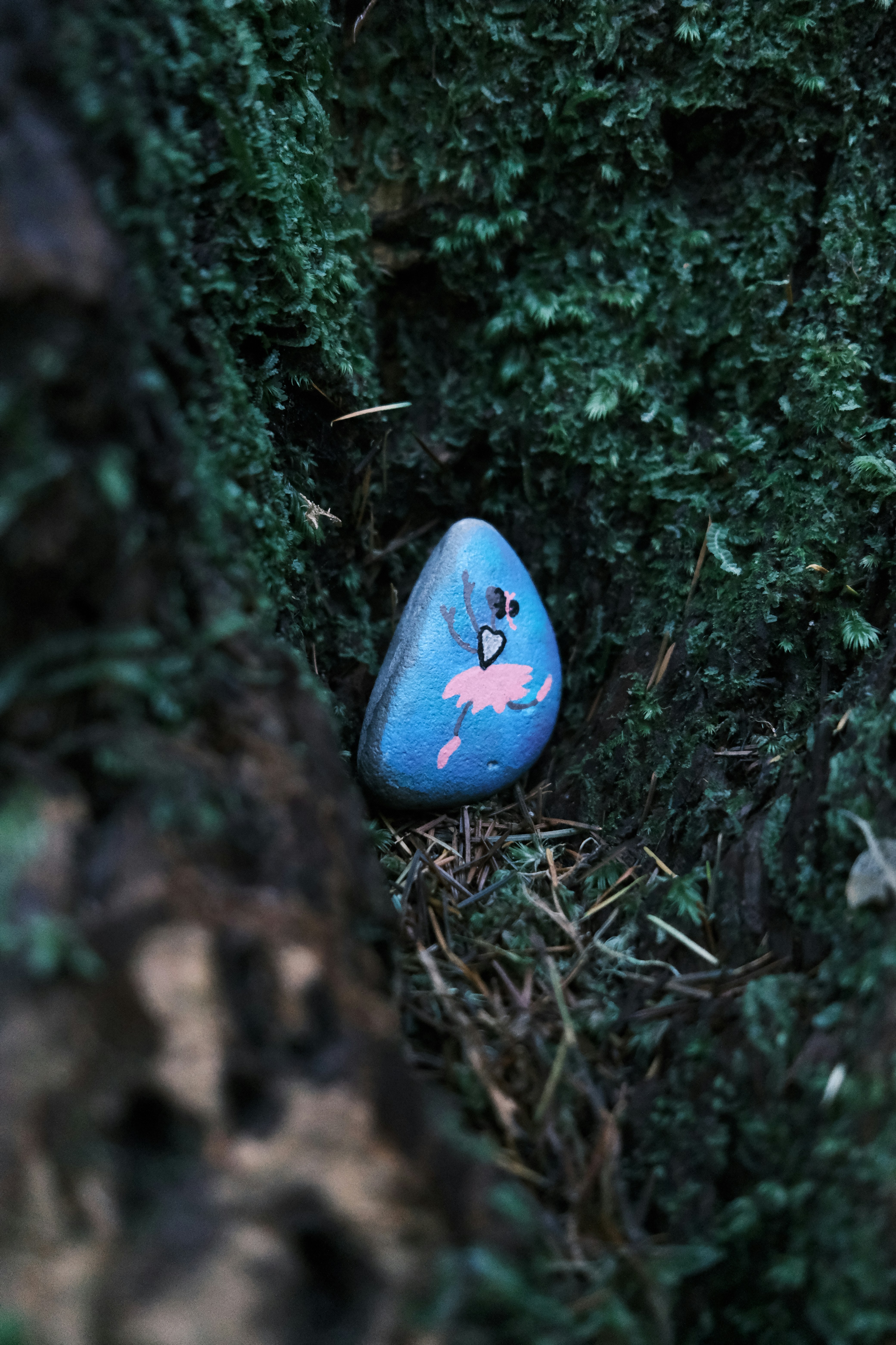 Azure pebble among emerald moss: a tiny painted moment in a forest crevice