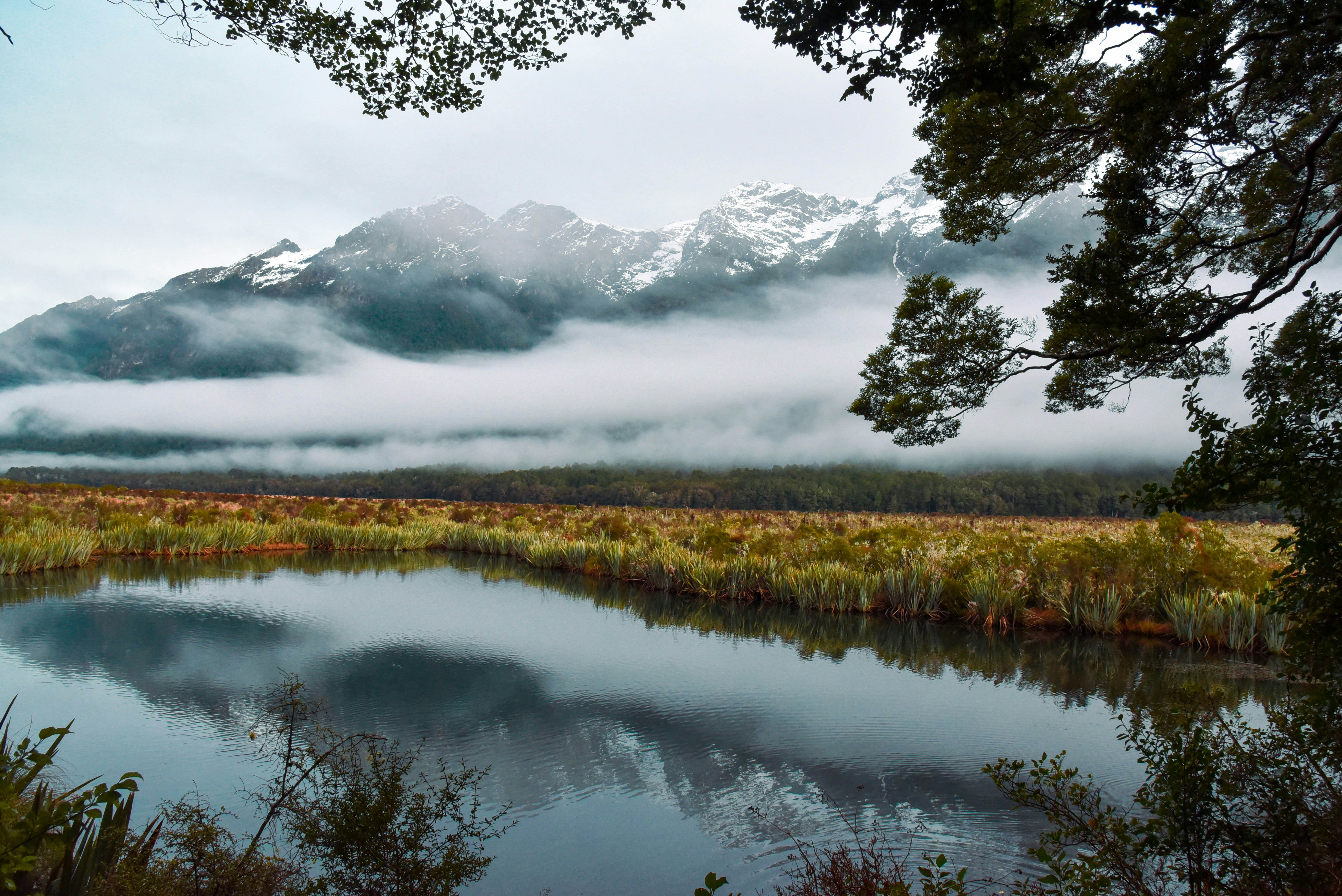 Whispers of the Misty Highlands