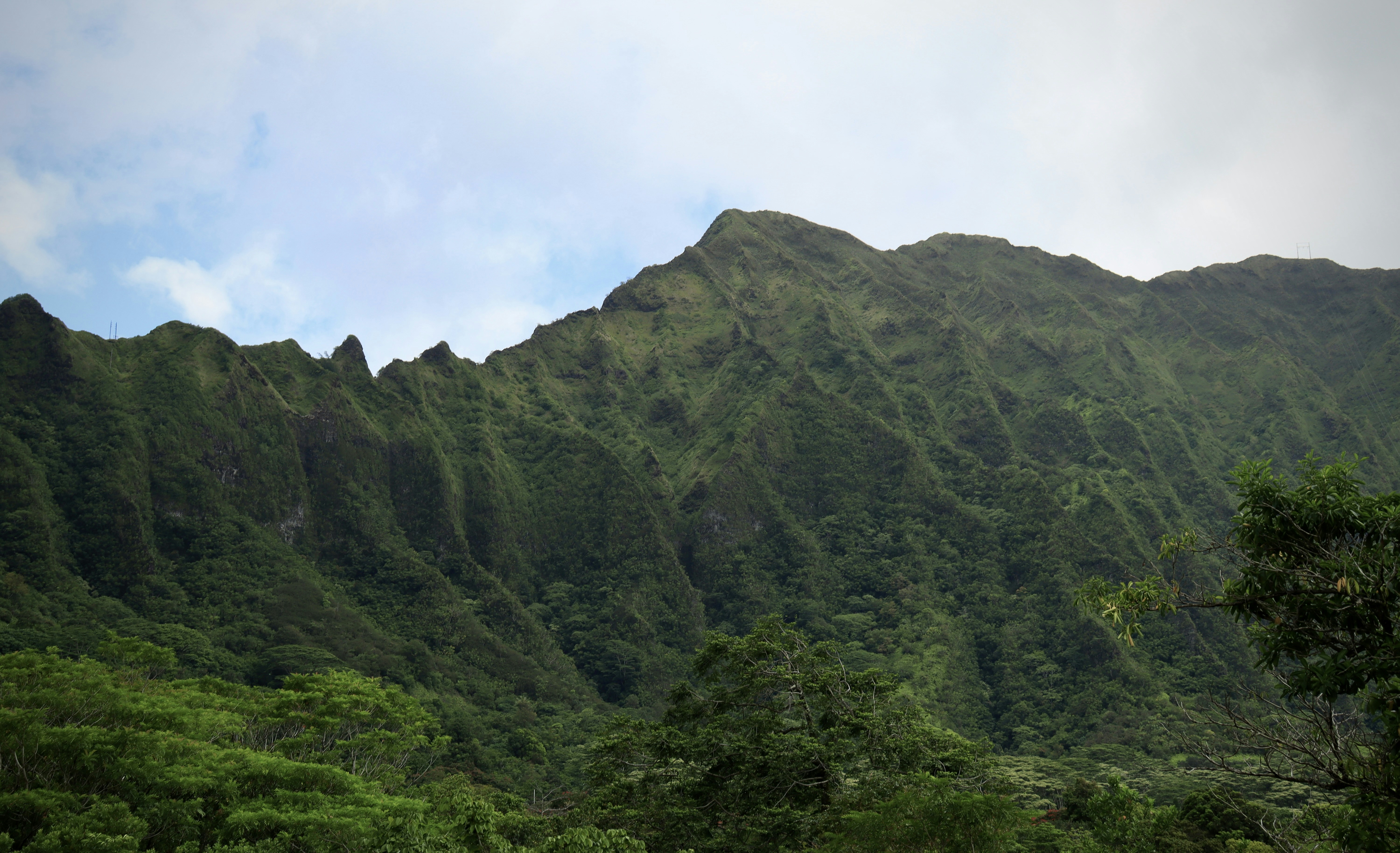 Photo by Josh Smith with Canon EOS 850D