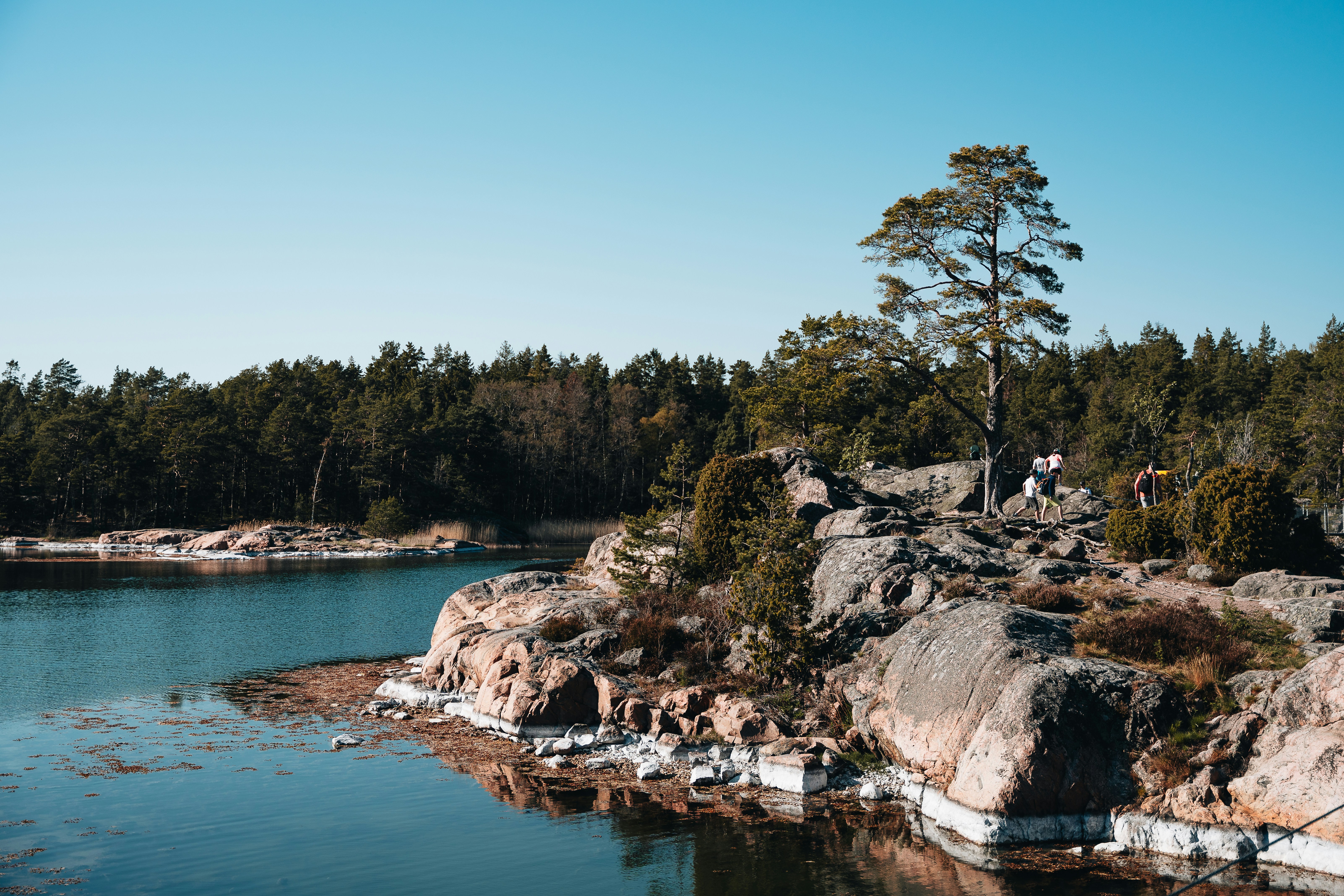 Un groupe de personnes debout au sommet d’un gros rocher à côté d’un ...