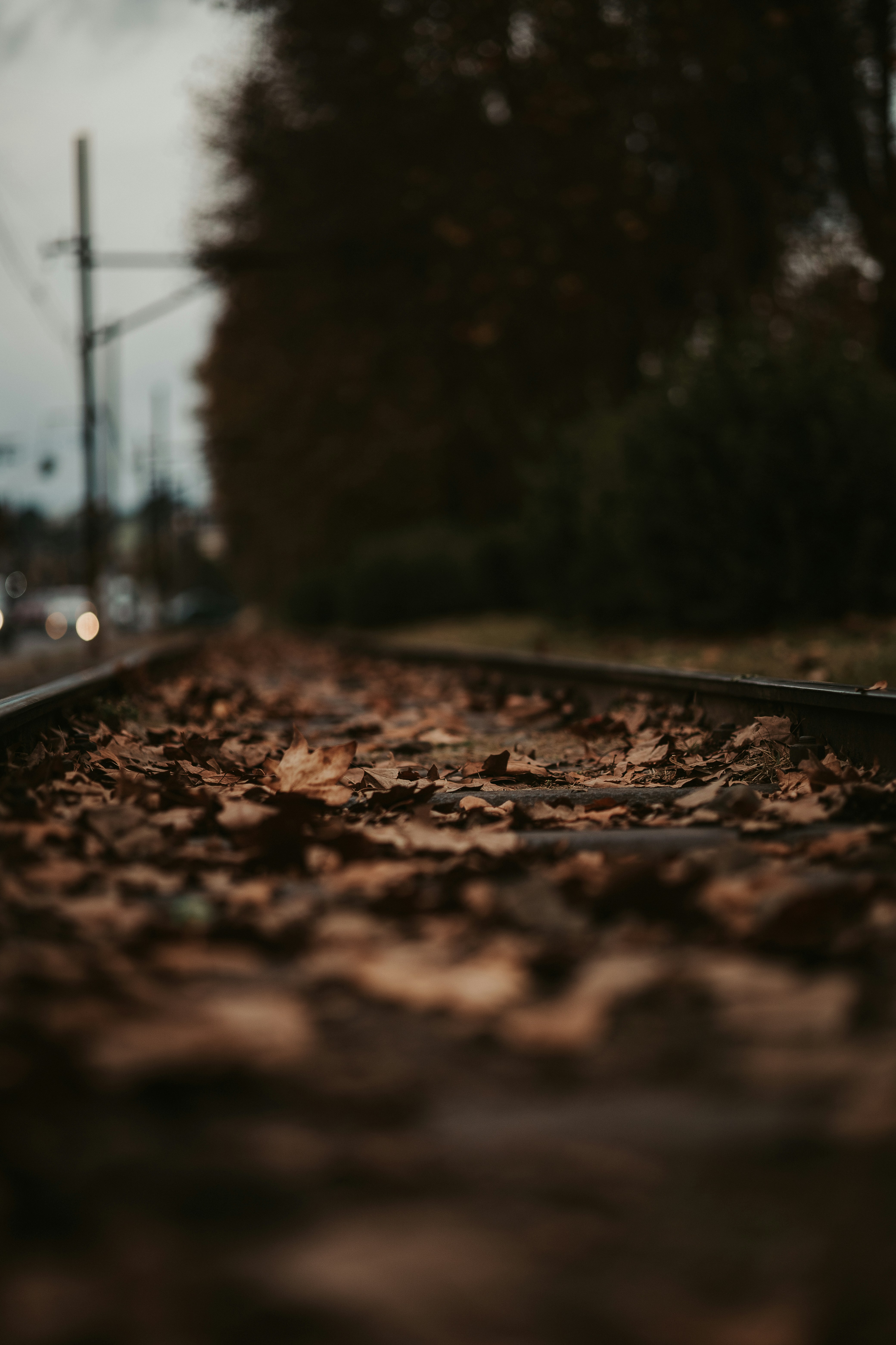 A train track with leaves on the ground photo – Free Road Image on Unsplash