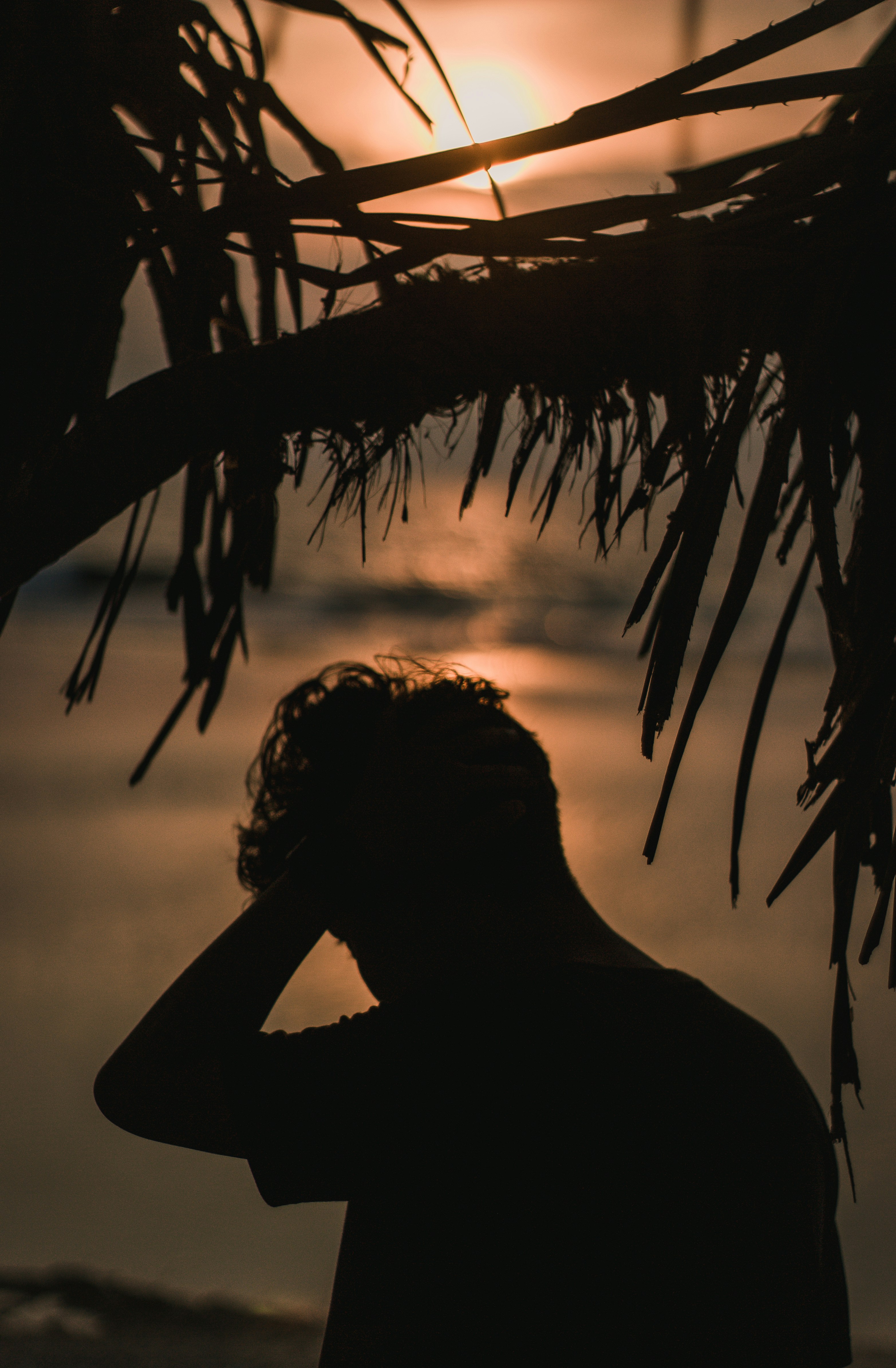 Sunlit Silhouette Beneath Frayed Palm Fronds at Dusk
