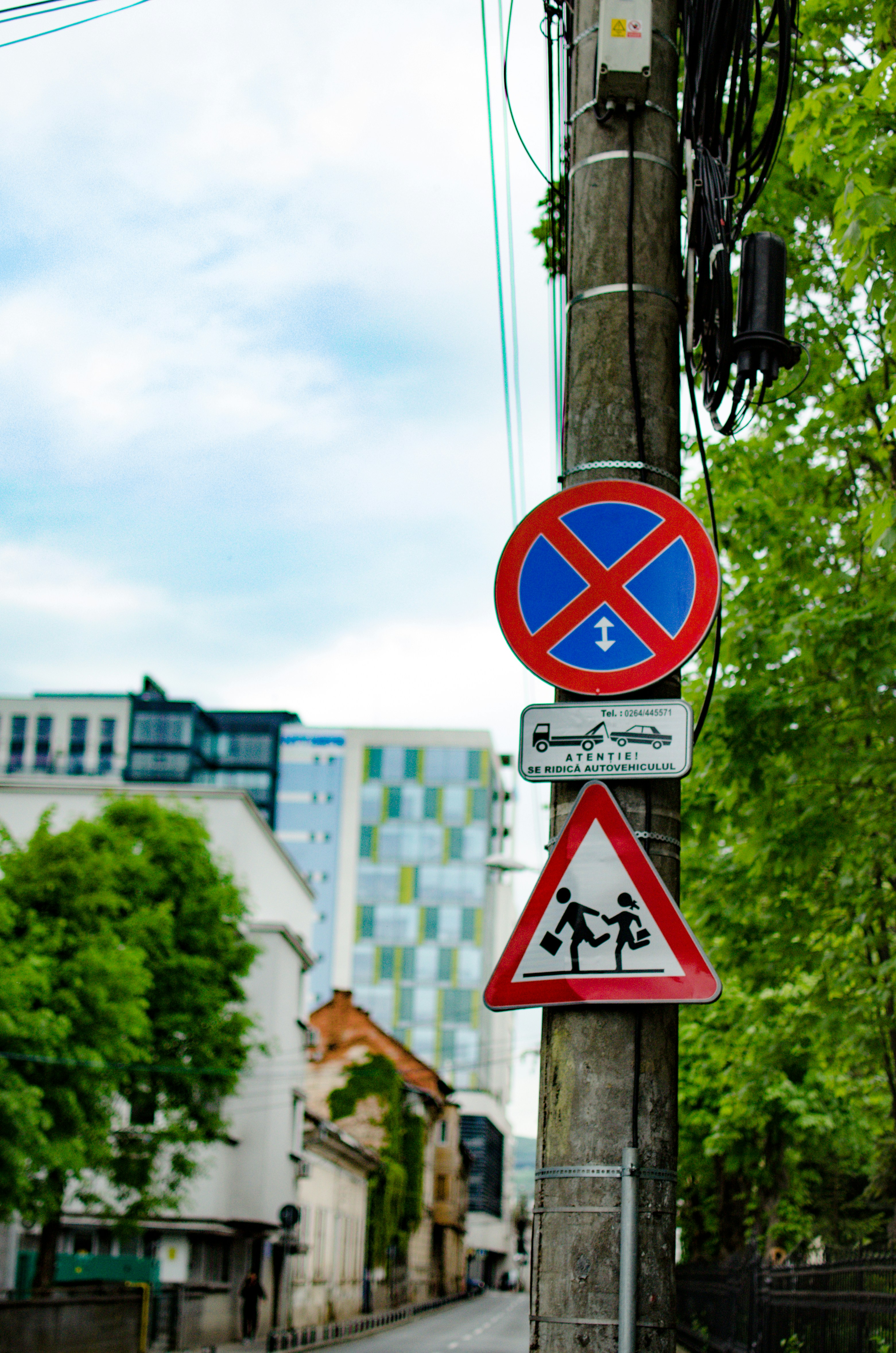 Pole of Signals: A Quiet Street Portrait of Urban Warnings