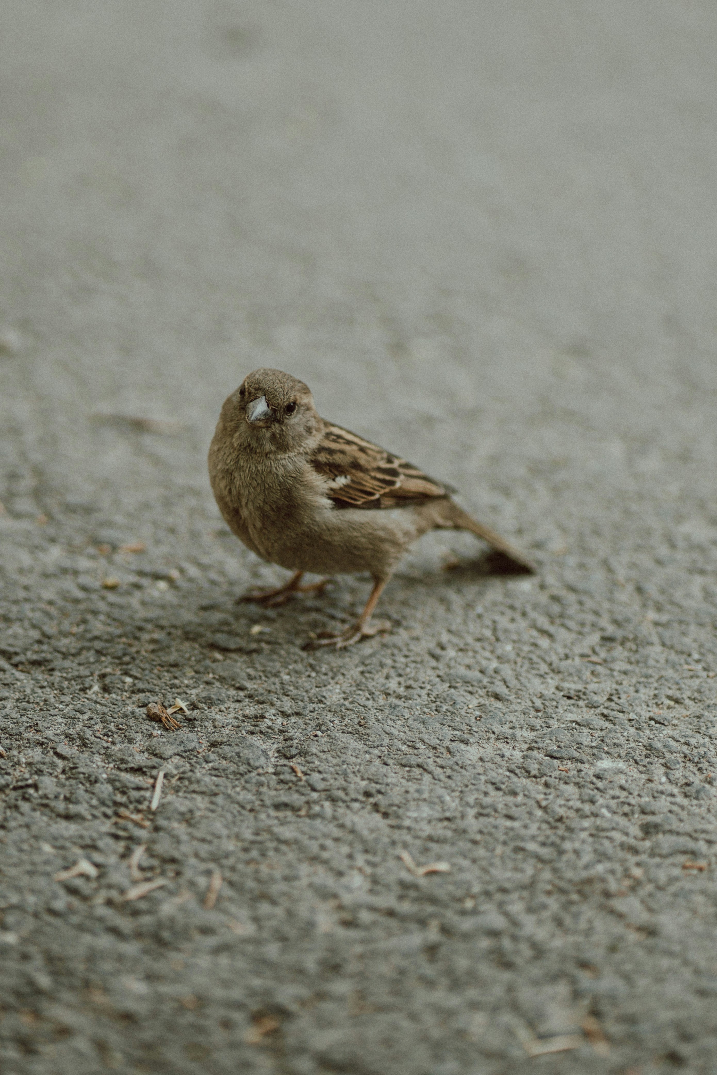 Photo by Marcel Strauß with Sony Alpha 7R III