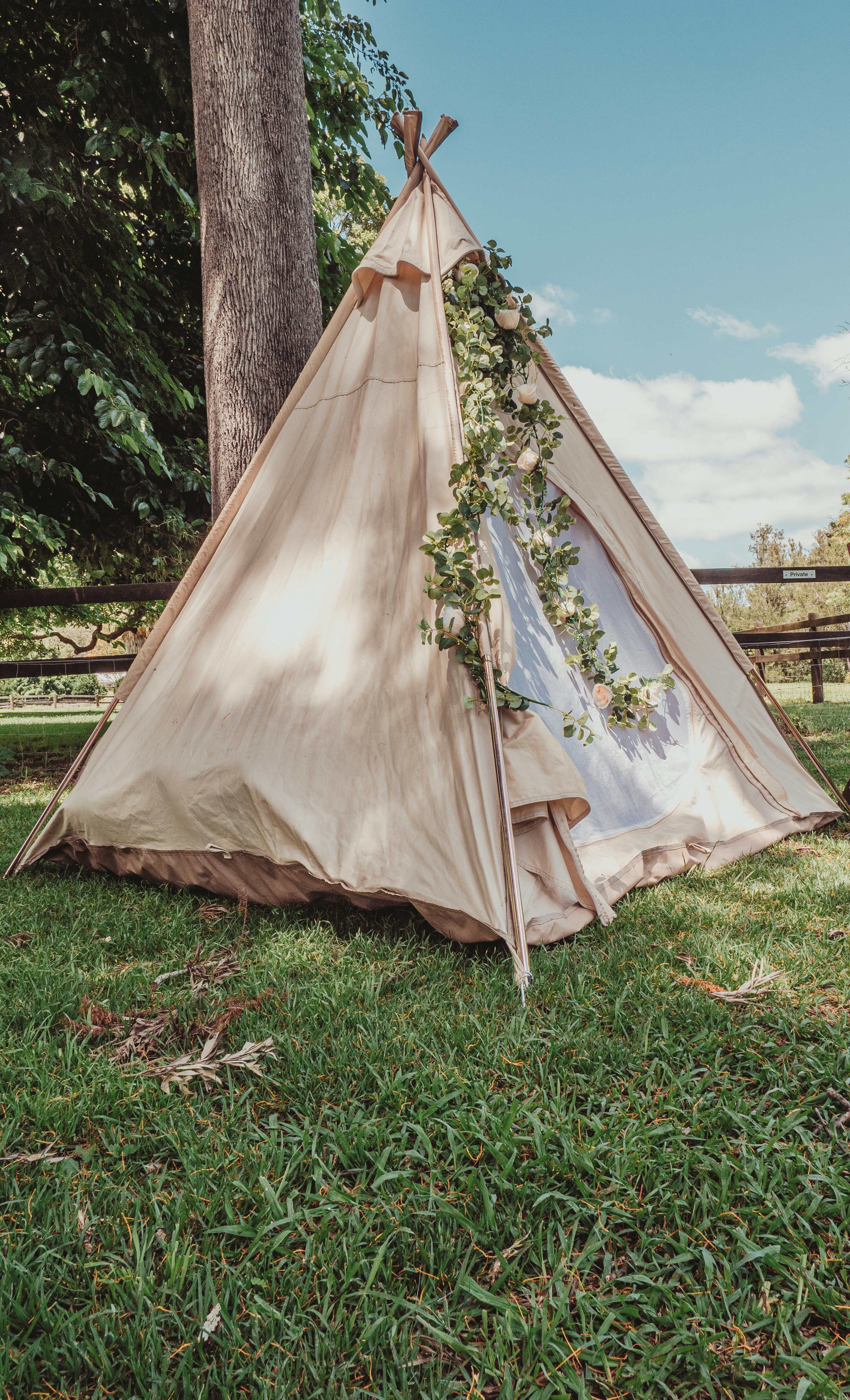 A teepee is set up in the grass near a tree photo – Free Australia ...