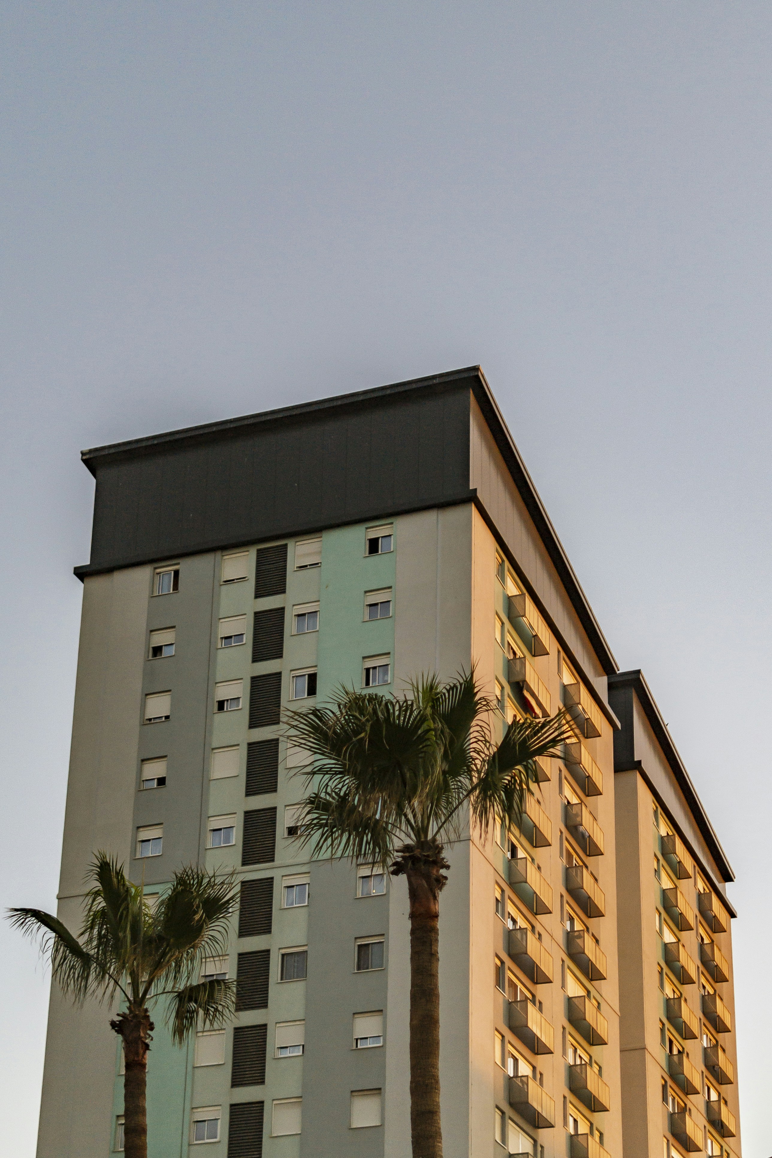 A tall building with palm trees in front of it photo – Free Gibraltar ...