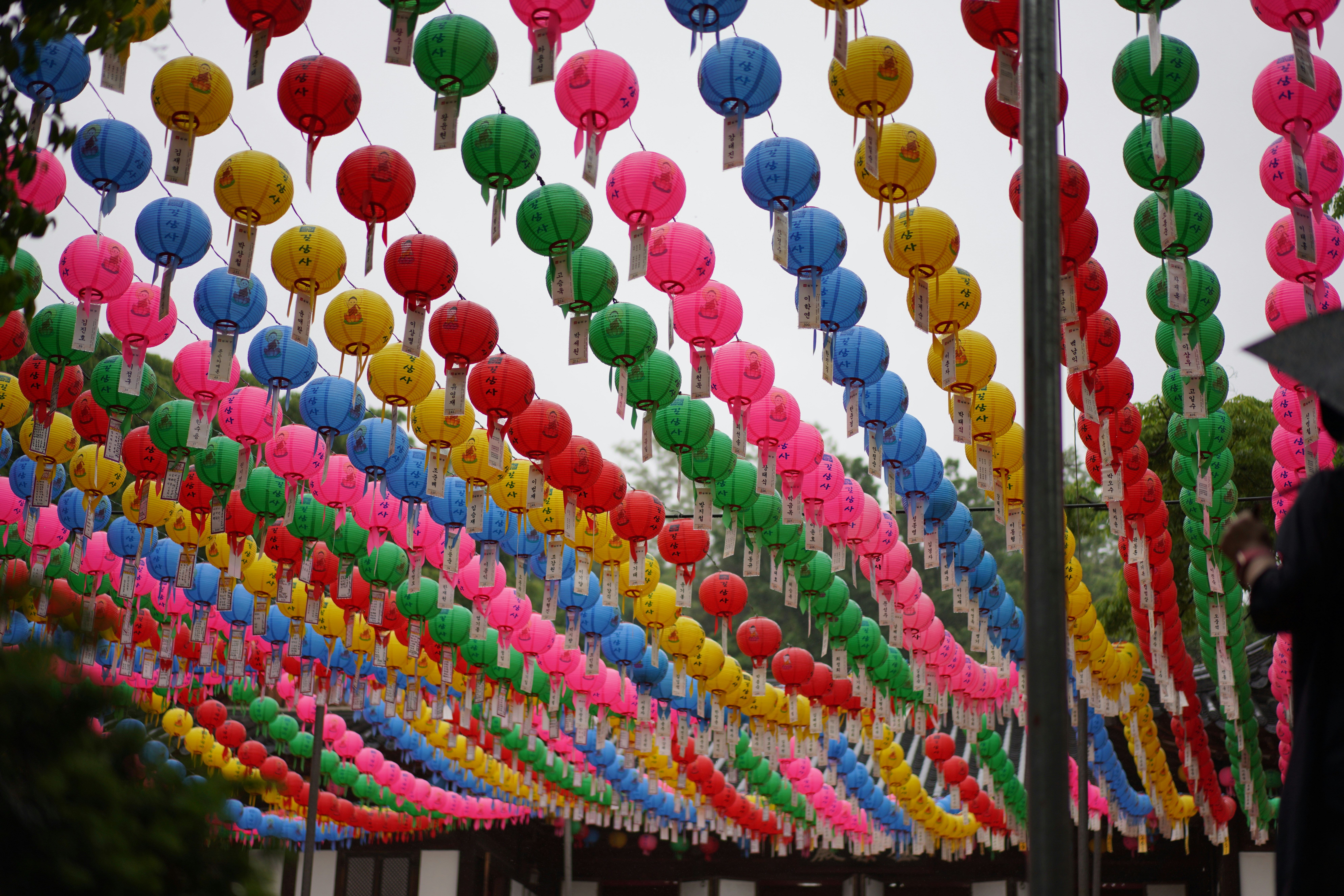 Rainbow Lantern Corridor: Lines of Color in a Floating Street