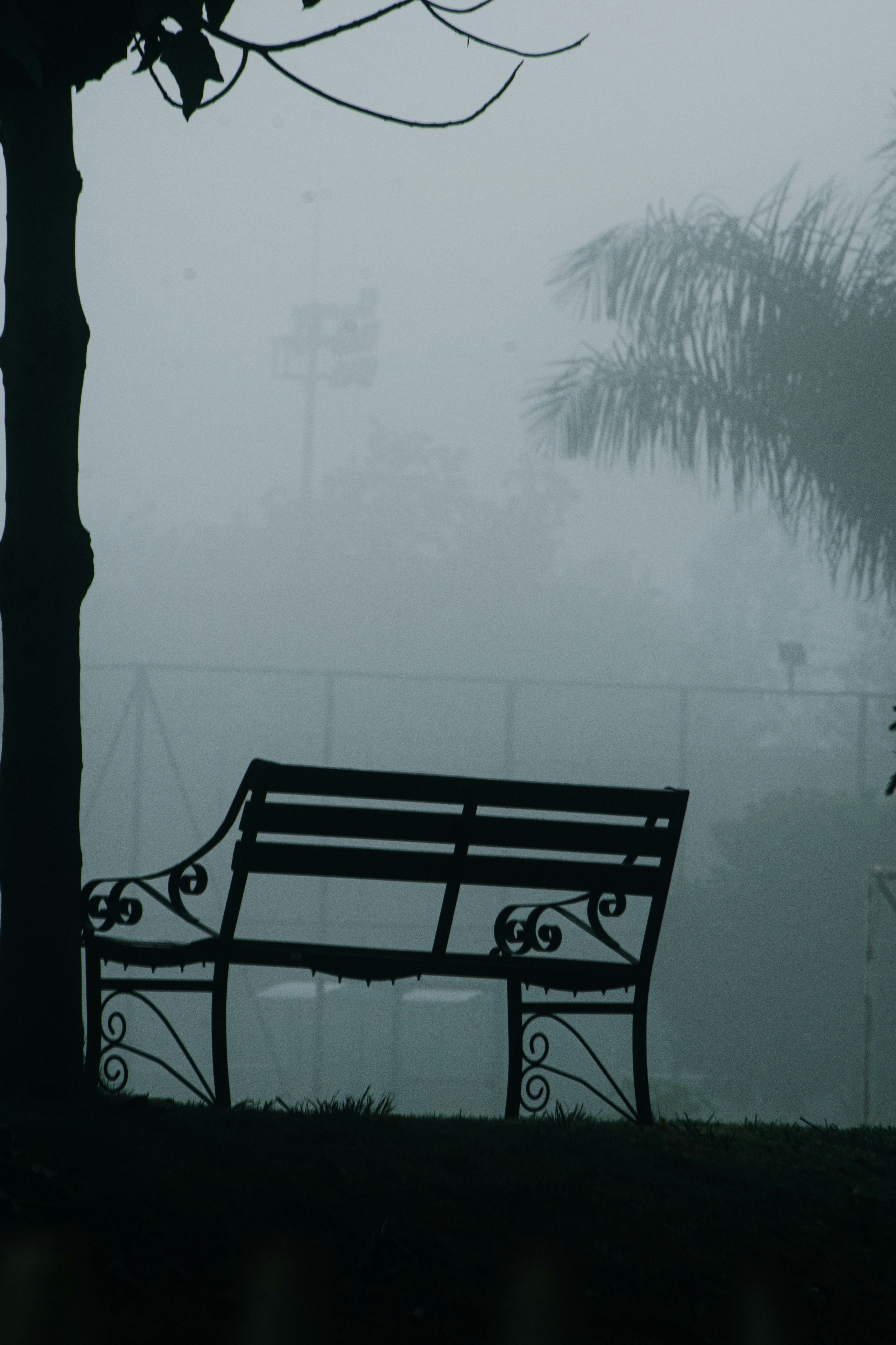 Silhouette of a Wrought-Iron Bench Amid Fog in a Quiet Park