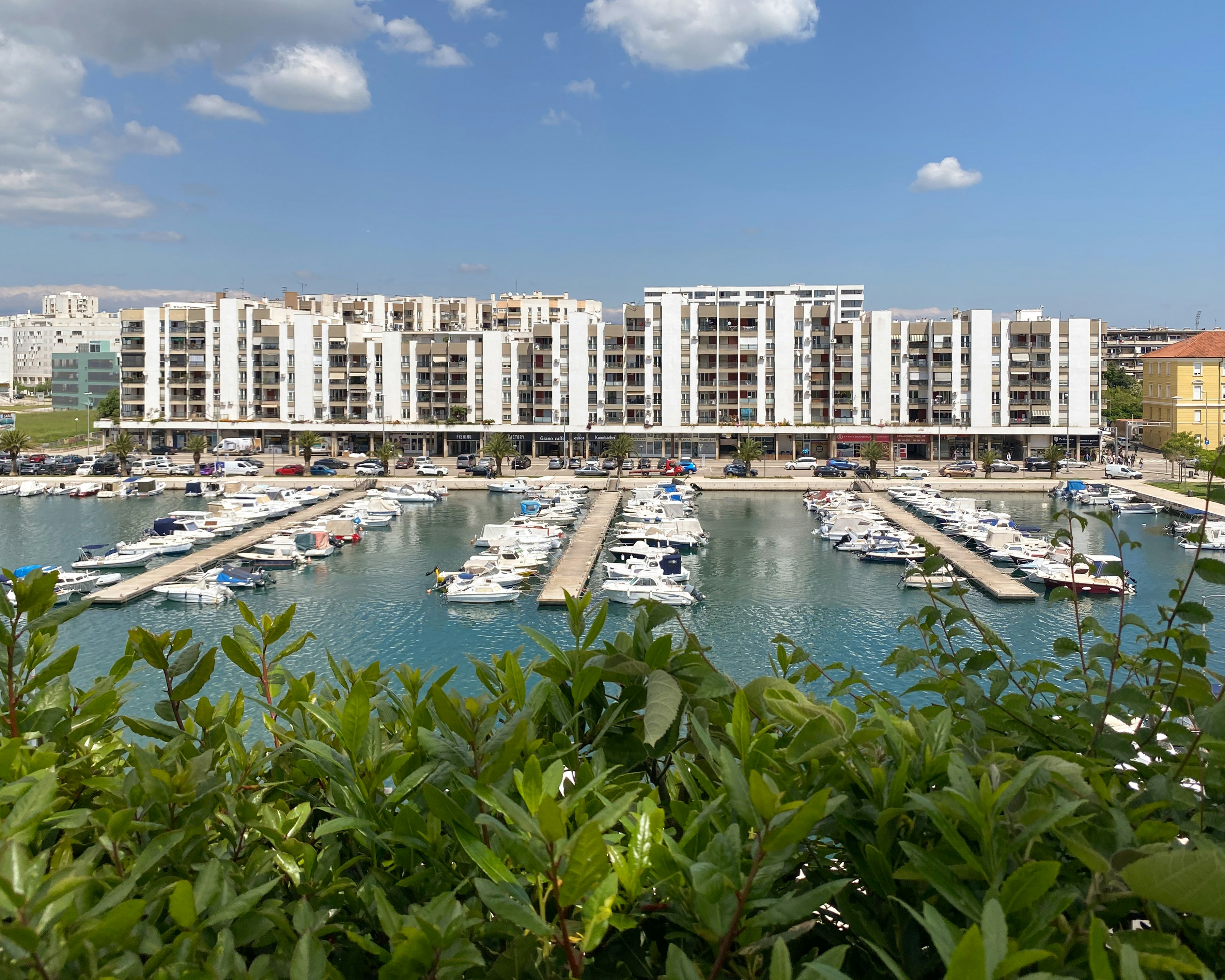 A marina filled with lots of boats next to tall buildings photo – Free ...