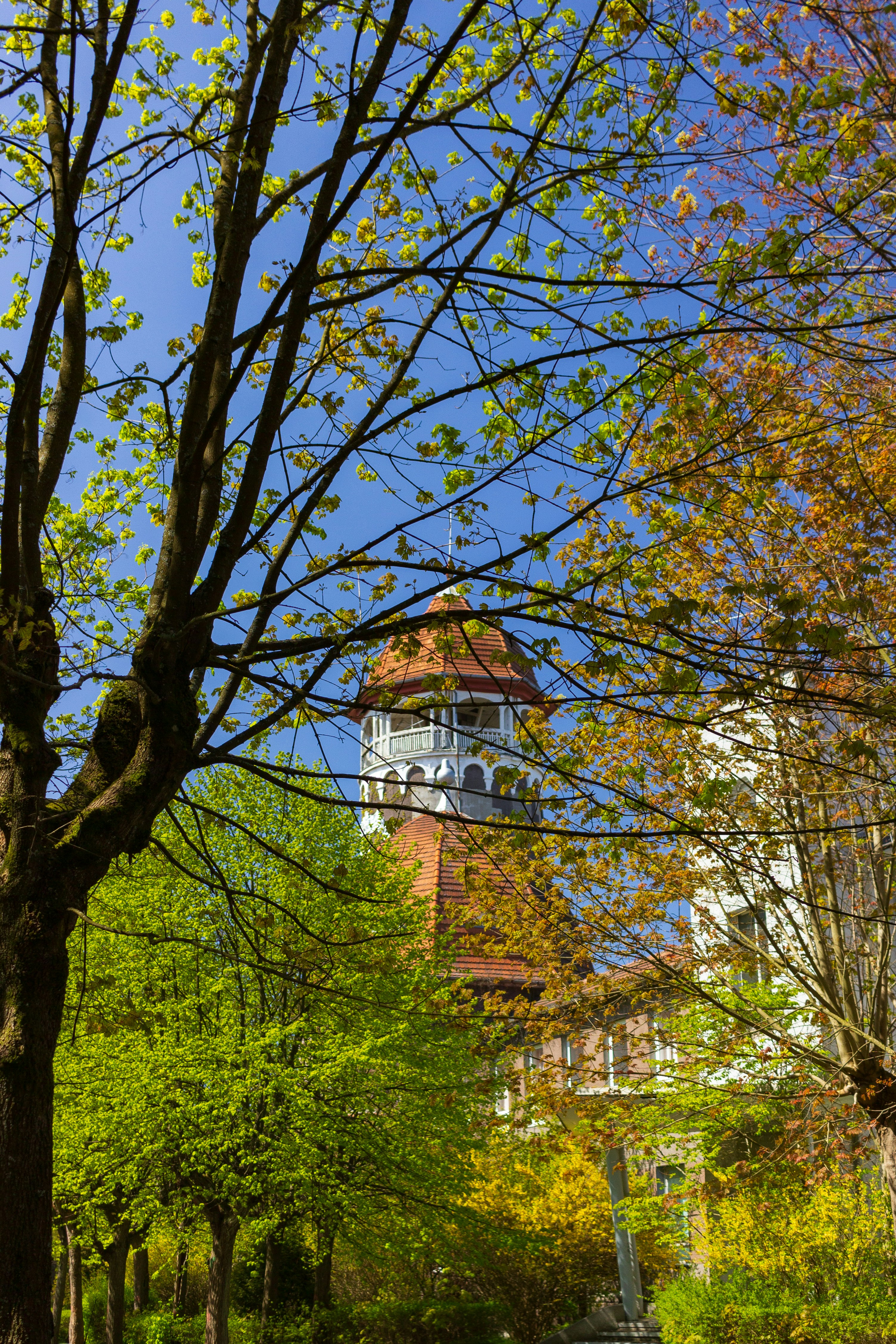 Photo by Andrey Vavilkin with Canon EOS 600D