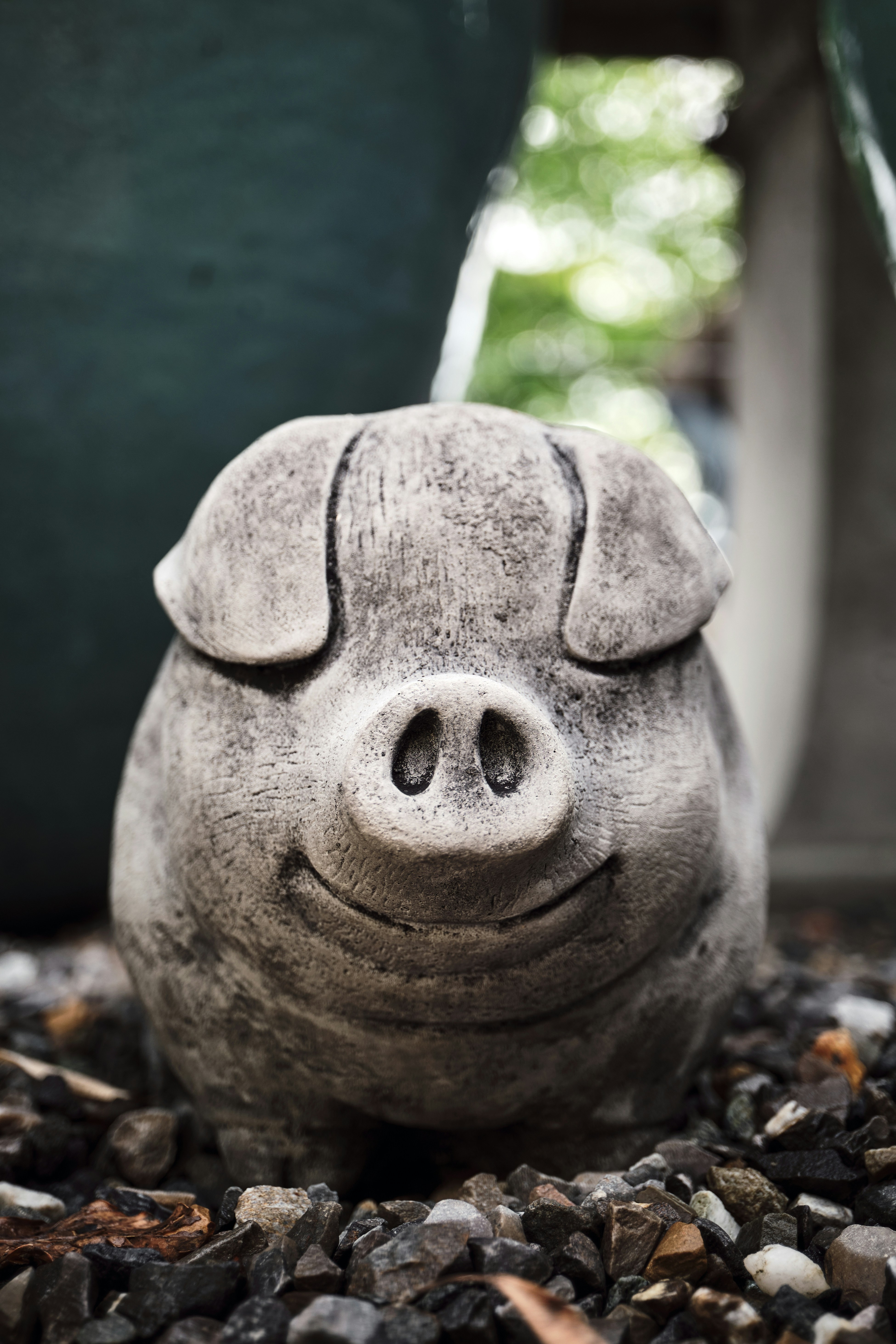 Smiling lucky pig