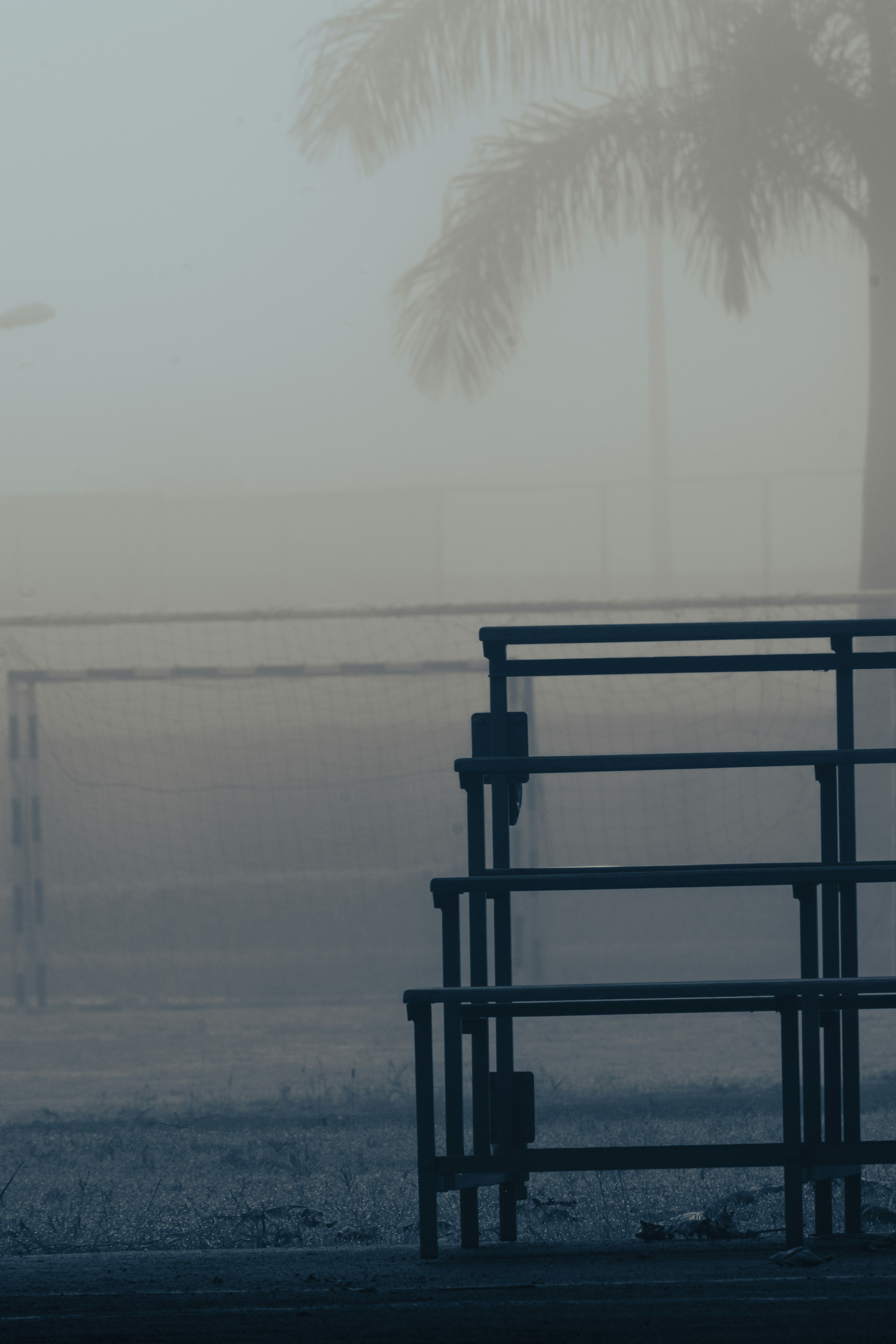 Silent Waves of Fog: Bleached Bleachers by the Shore
