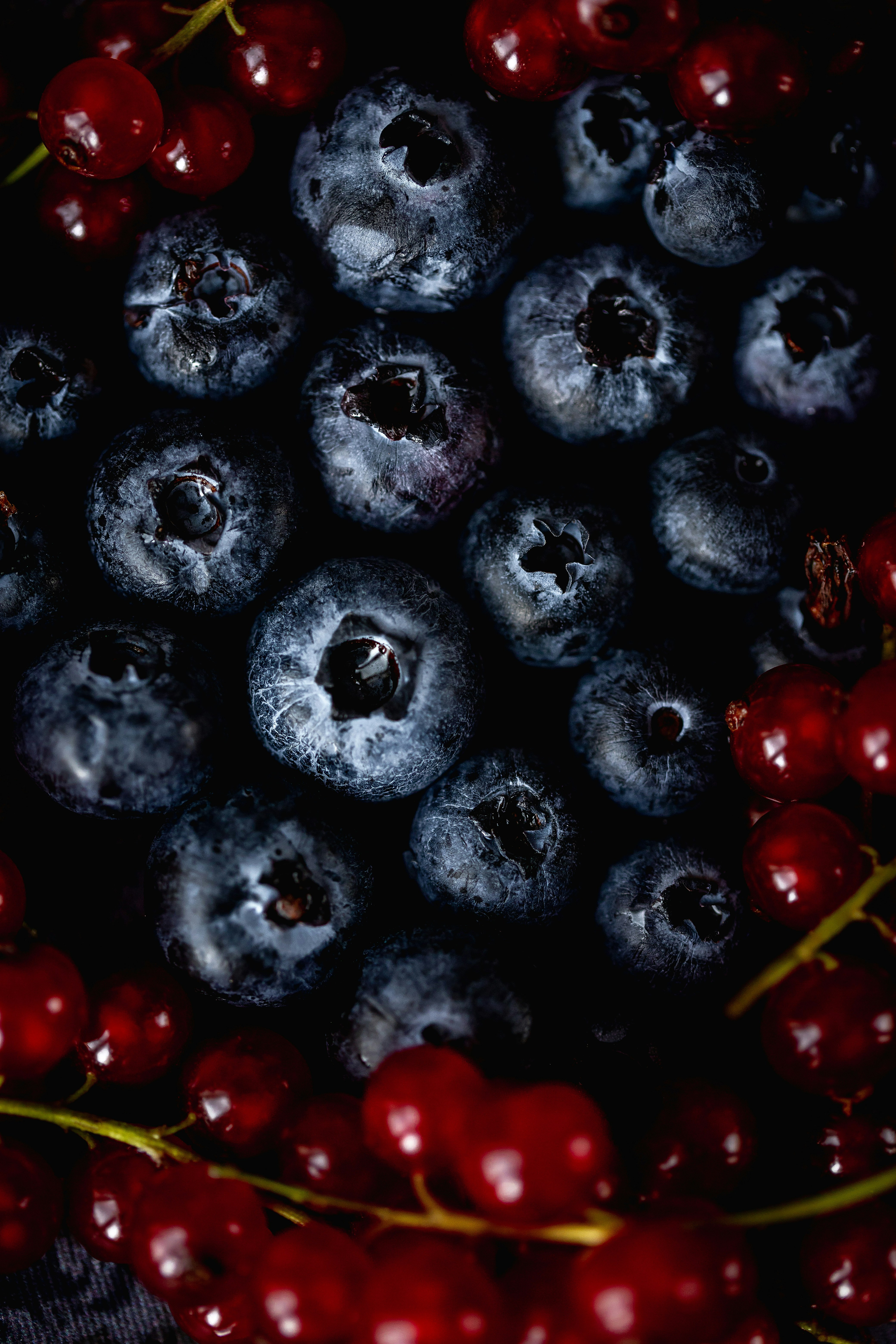 A bunch of blueberries and cherries on a table photo – Free Санкт ...