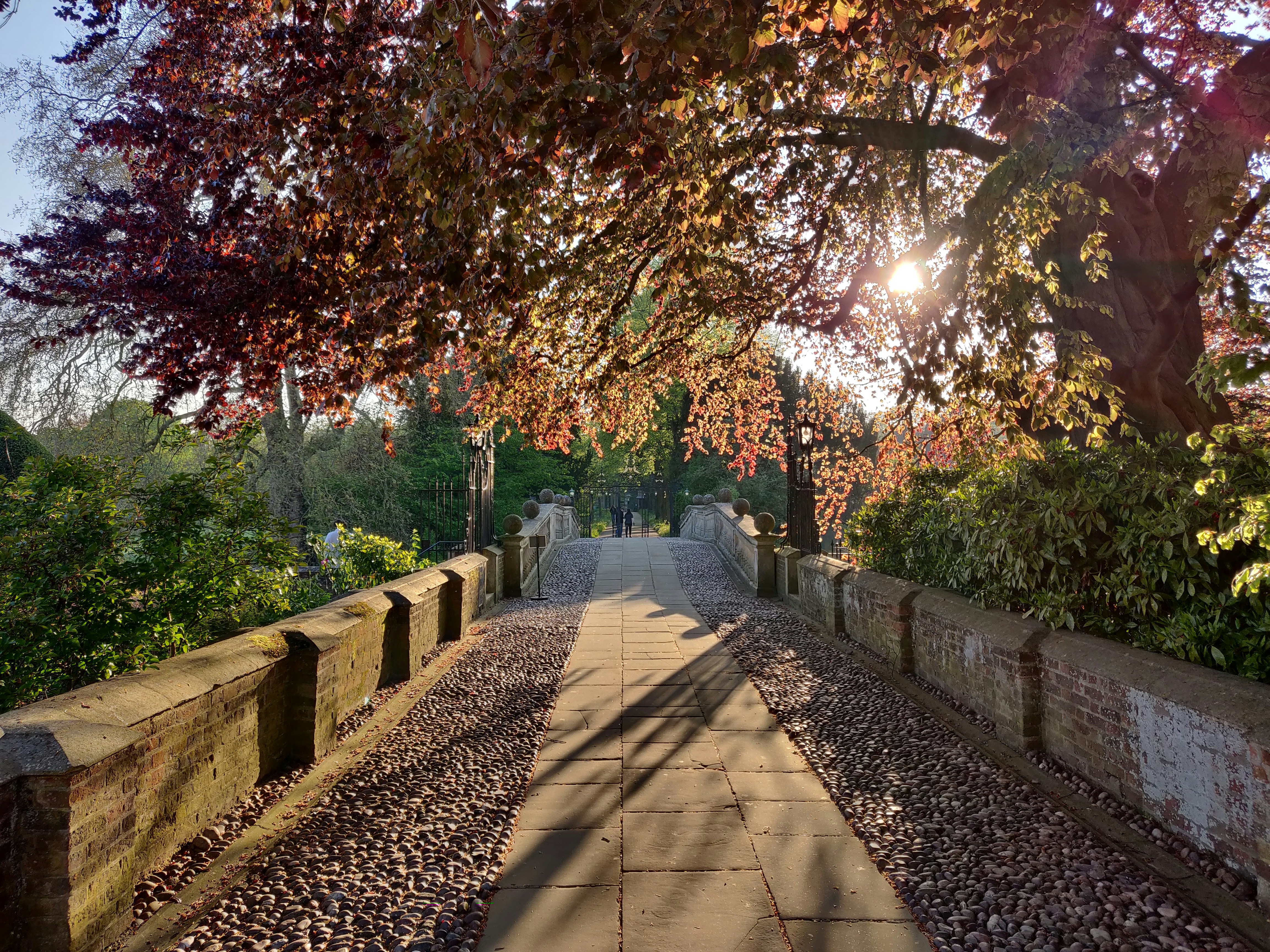 Sunlit Bridge Through Autumn Canopy