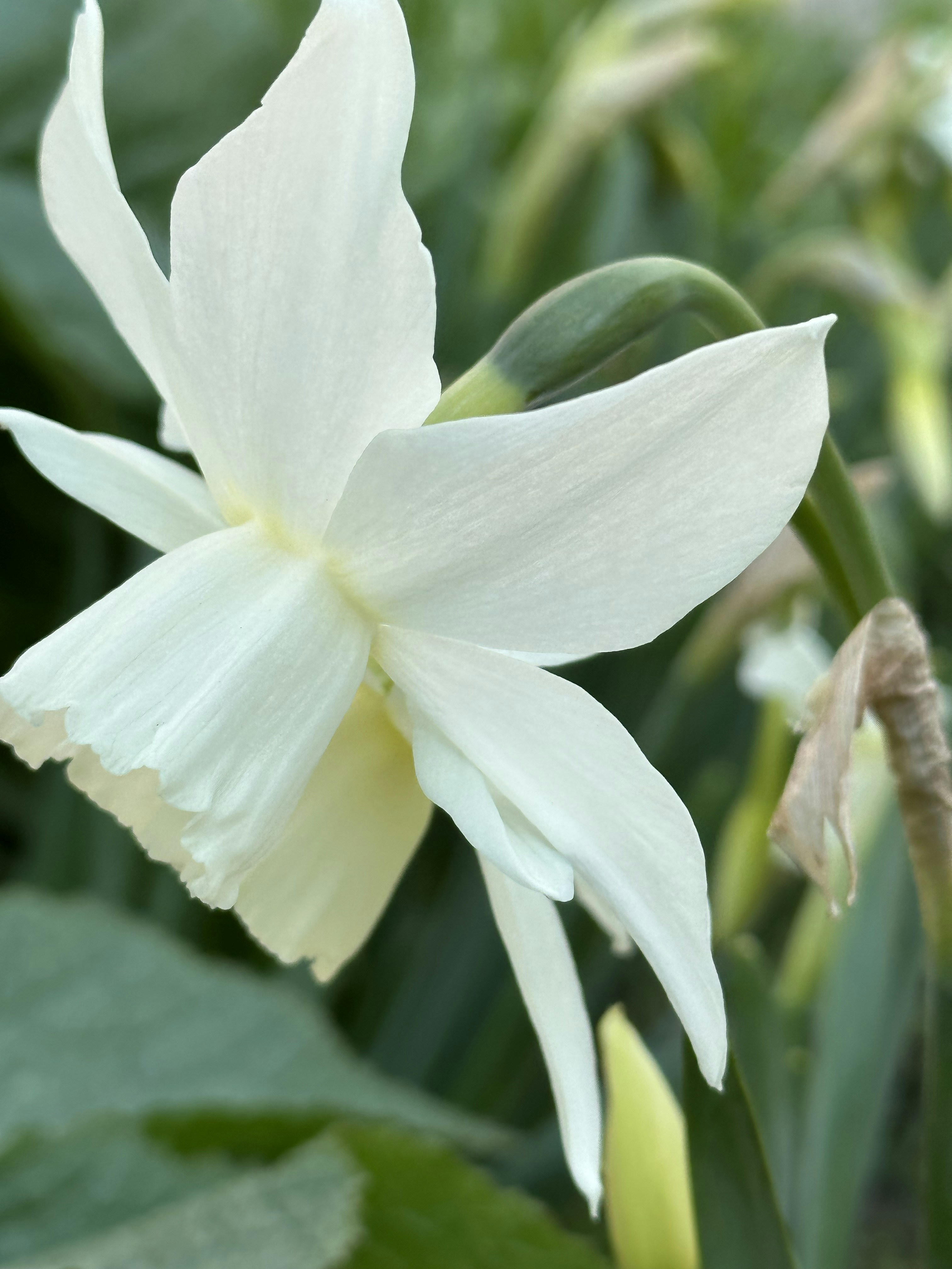 Photo by Circe Mears with Apple iPhone 14 Pro Max