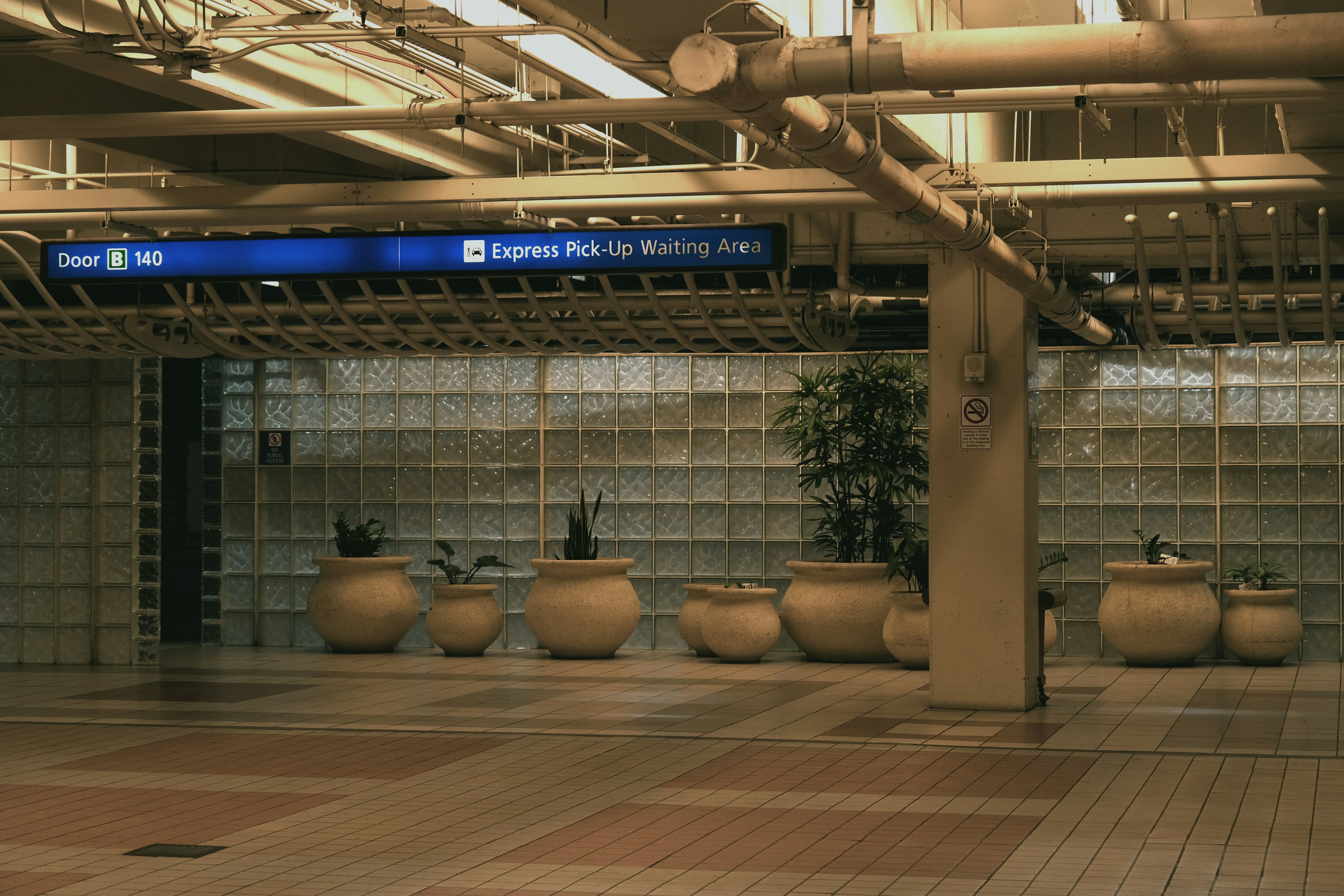 Photo by Cari Kolipoki with Fujifilm X-T30