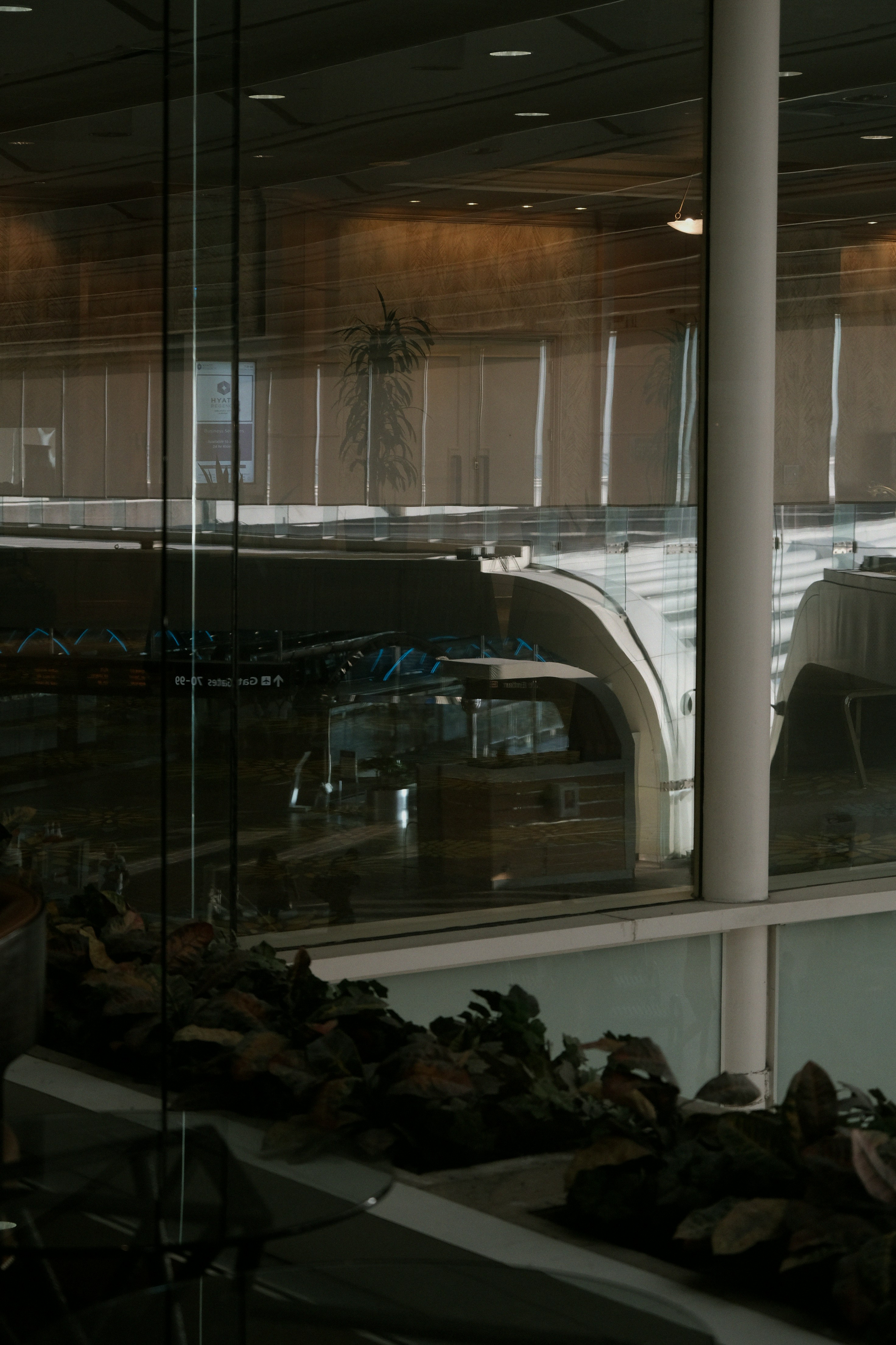 Photo by Cari Kolipoki with Fujifilm X-T30