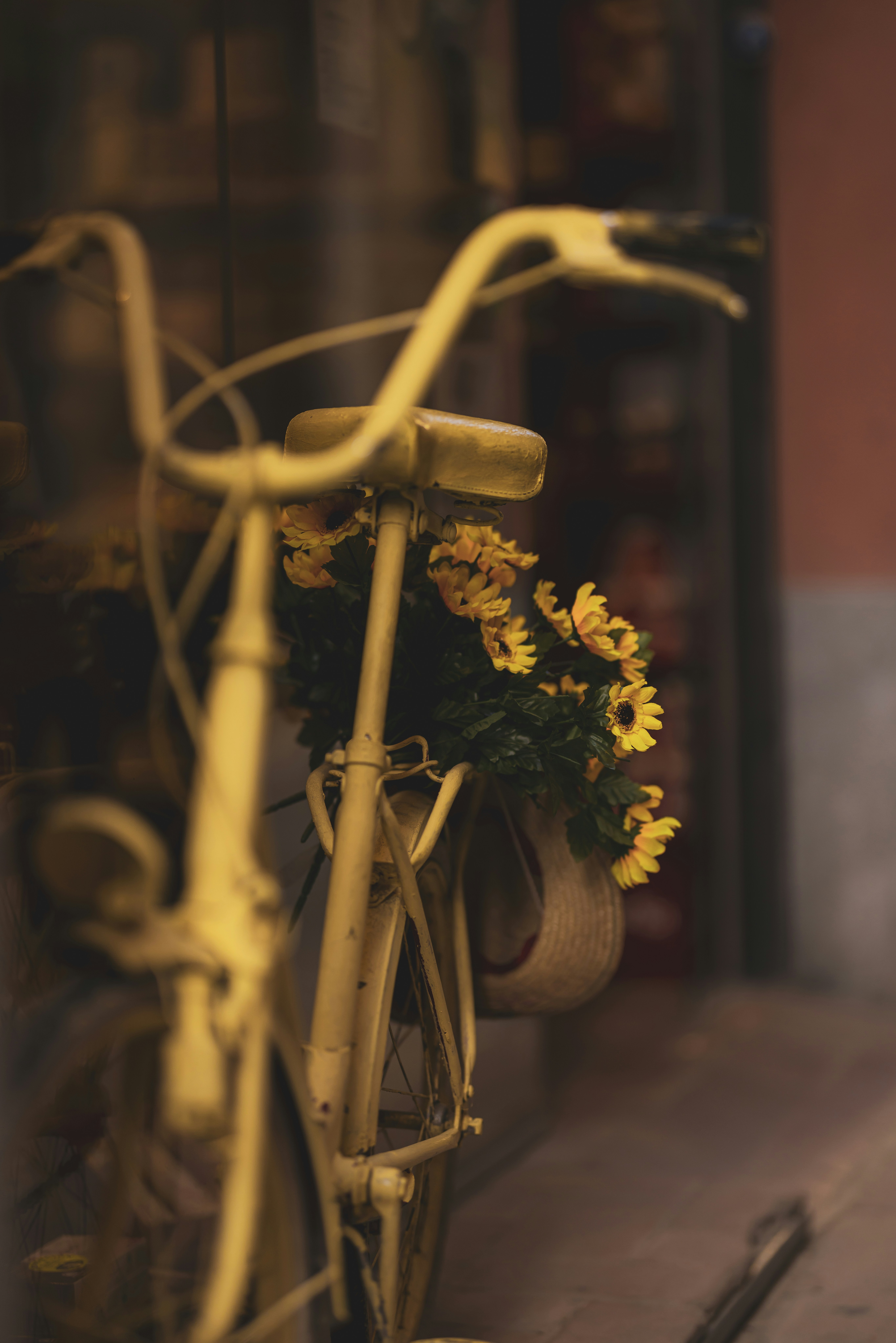 Sunflowers in a Yellow Bicycle: A Quiet Golden Hour Moment by the Doorstep