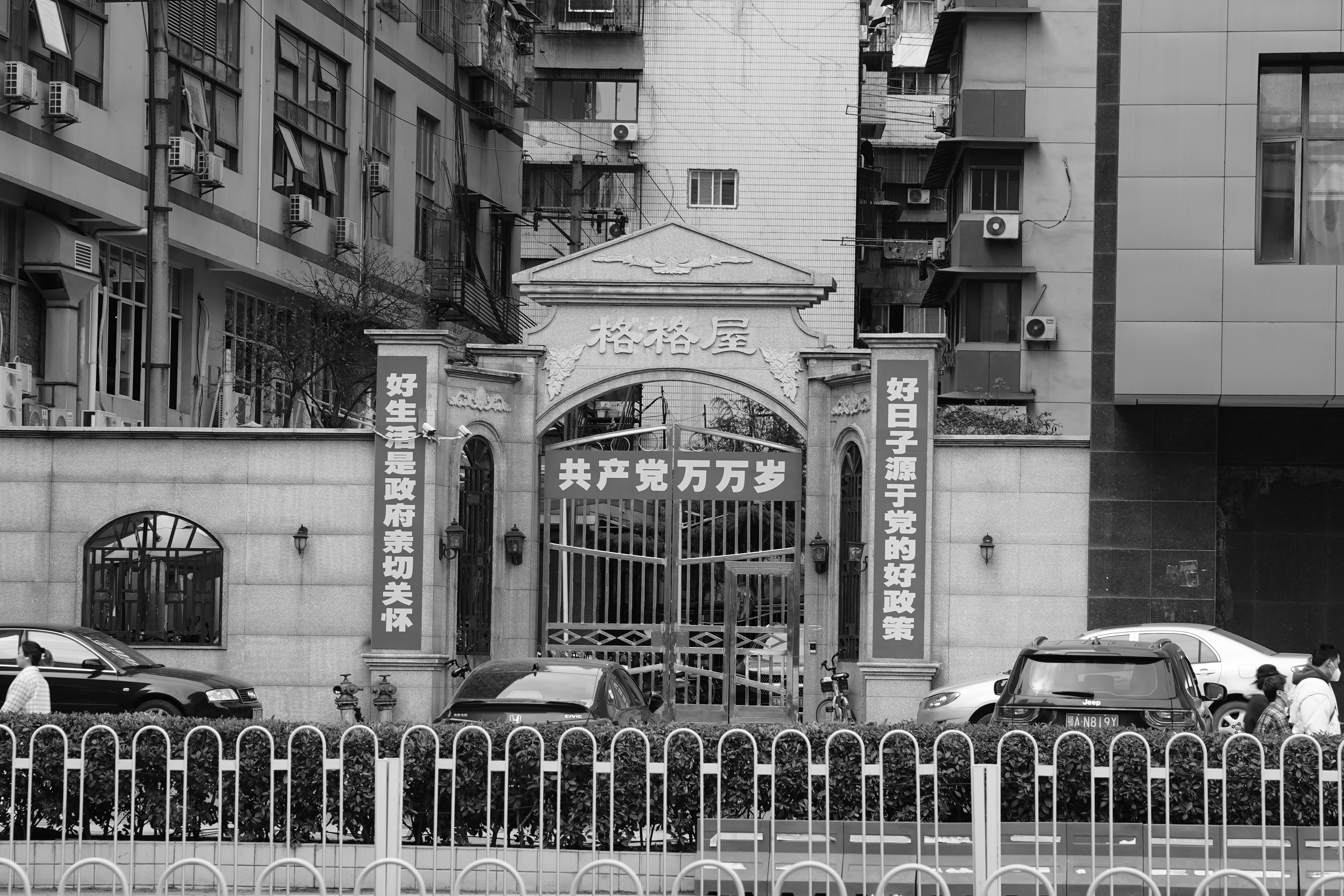 Photo by Adam Blunt with Sony Alpha 7 III