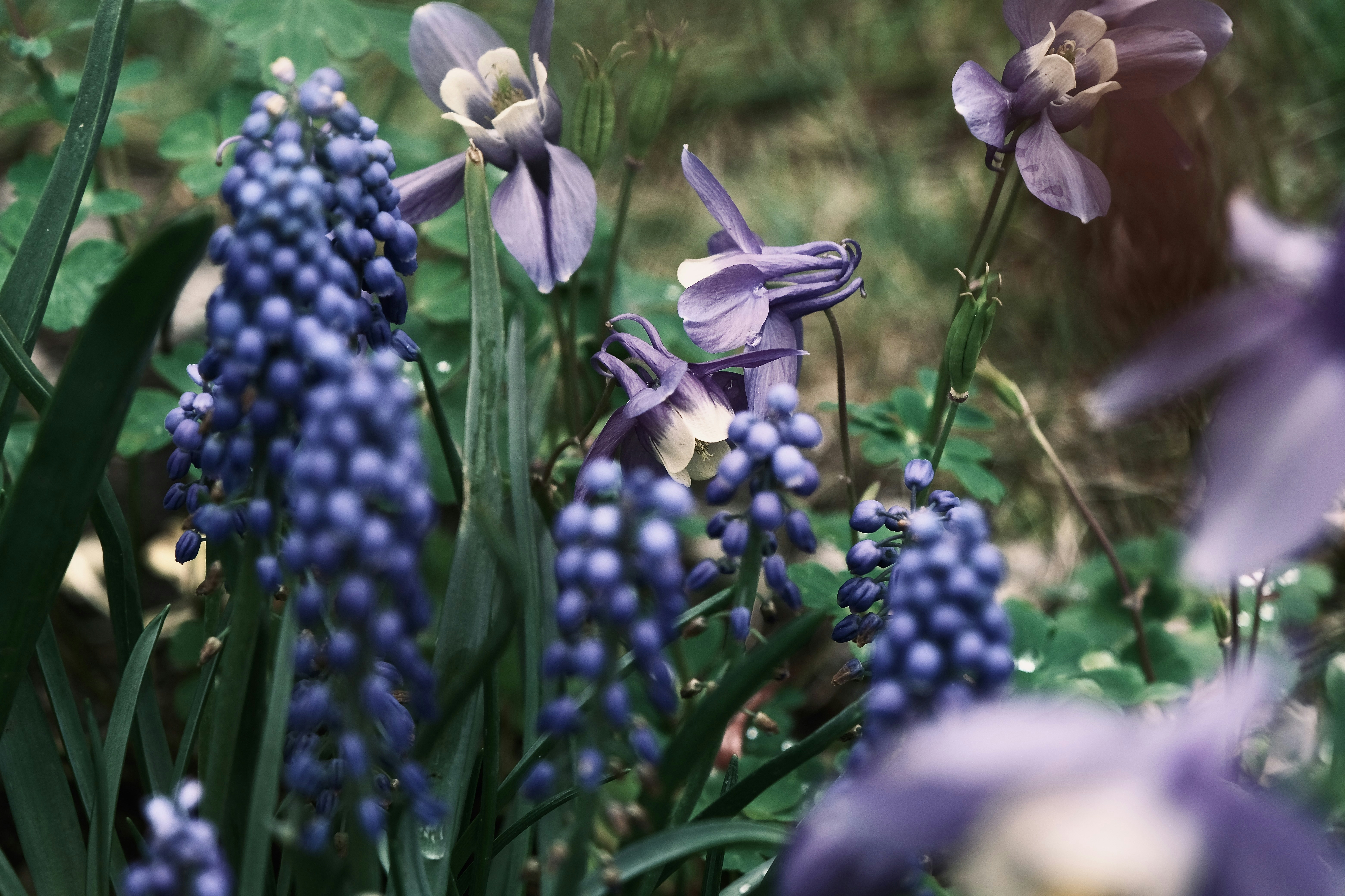 Photo by Marcin Krawczyński with Fujifilm X-S10