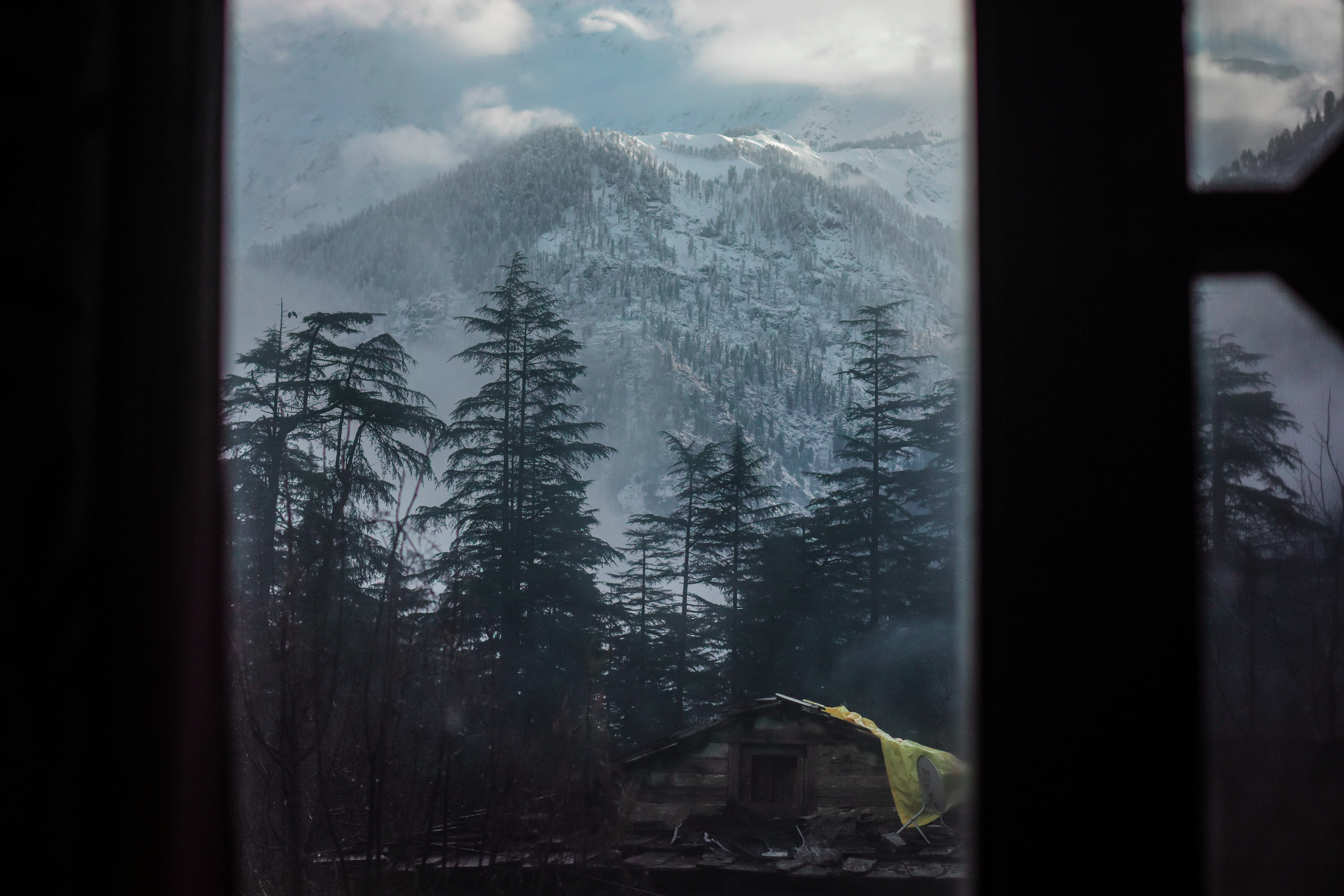 Snowbound Cabin Framed by Pines Under a Frosted Ridge
