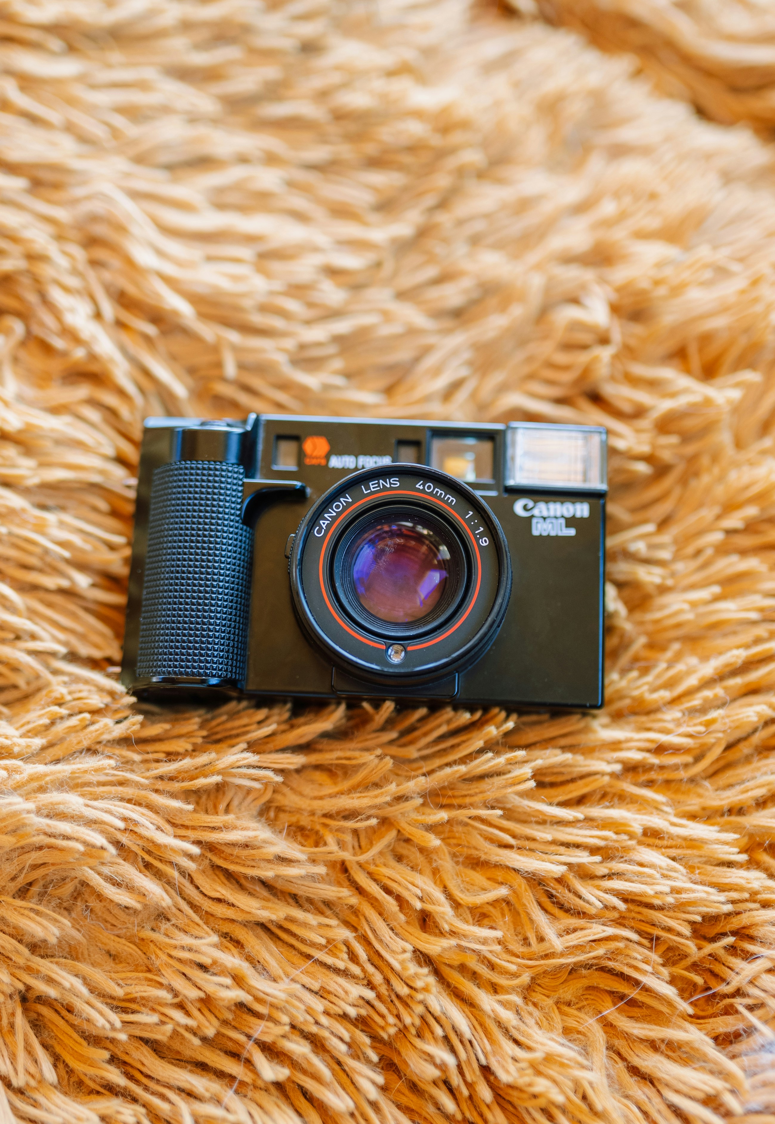 A camera sitting on top of a furry surface photo – Free Photography ...