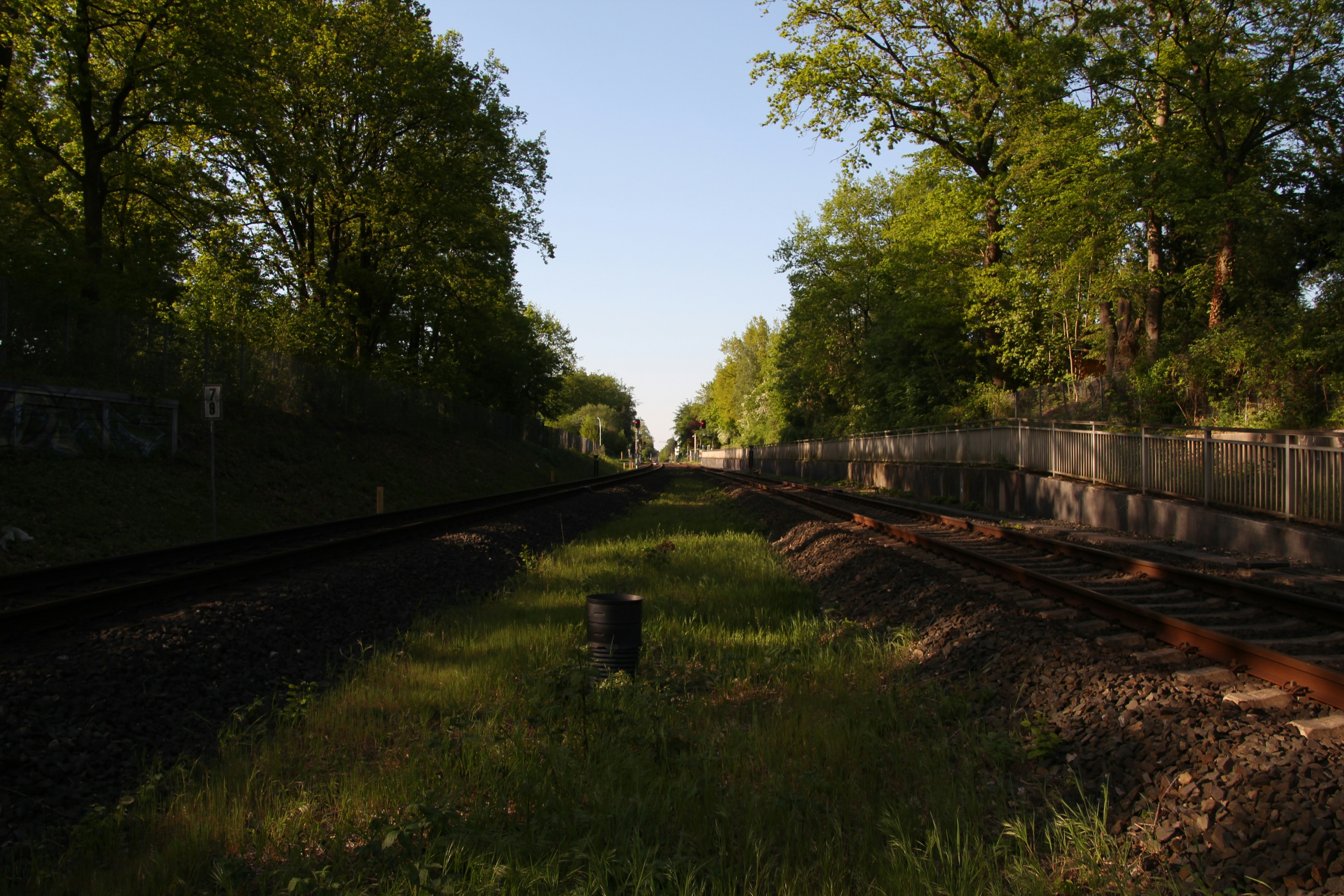A train track running through a lush green forest photo – Free Hamburg ...