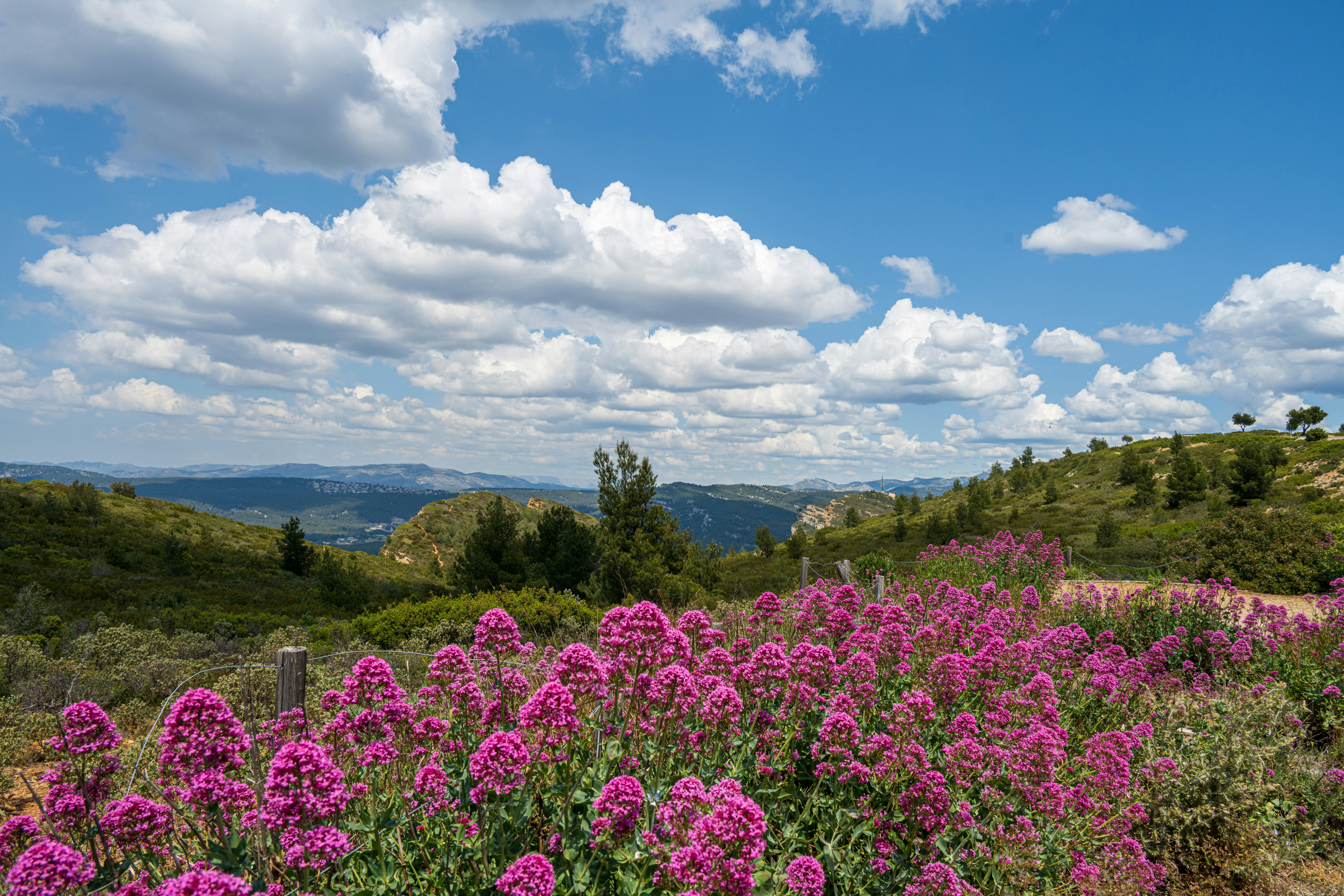 Taken in Provance, France