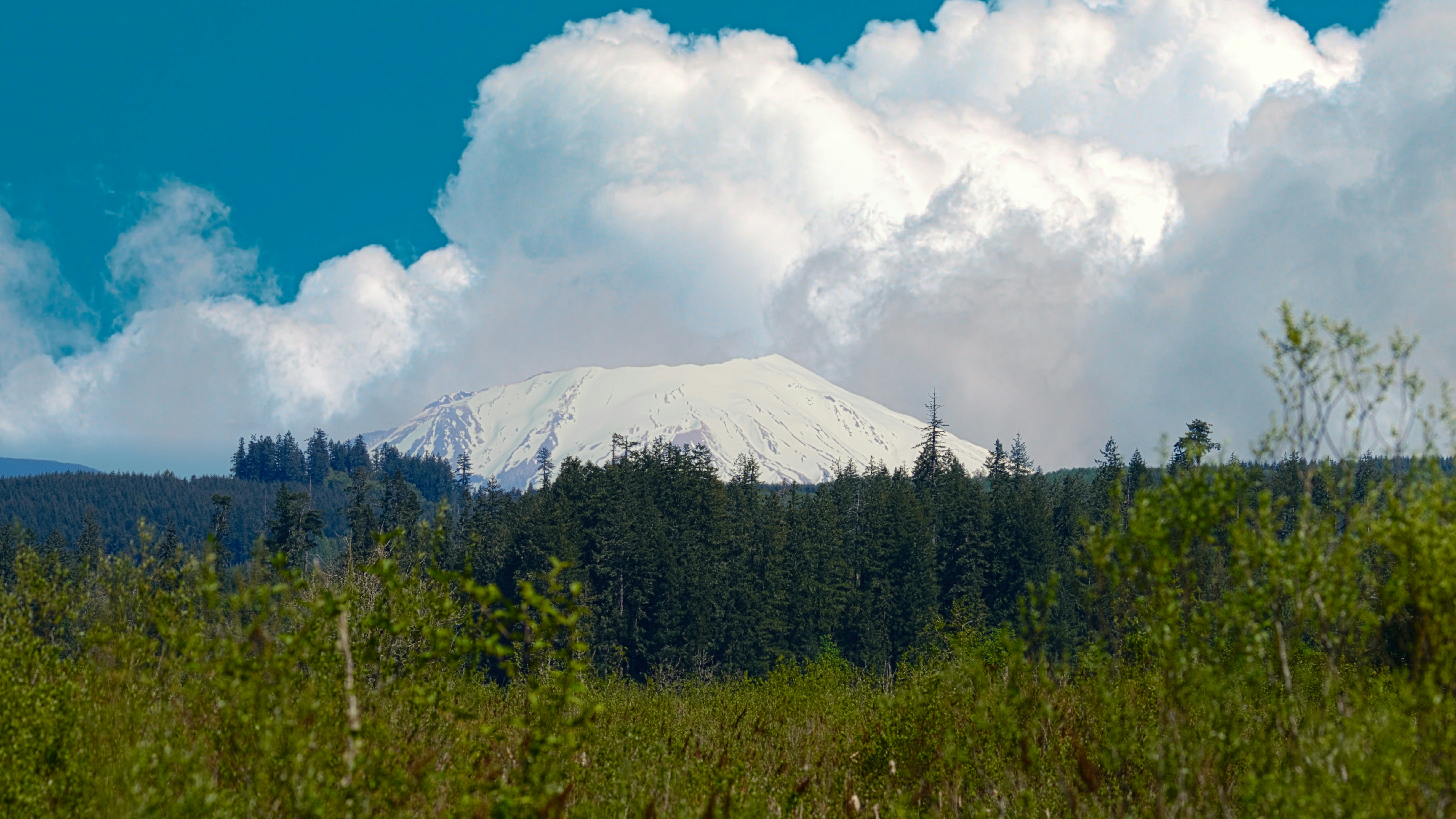 Snow-Capped Summit Peeking Over a Quiet Forest Ridge