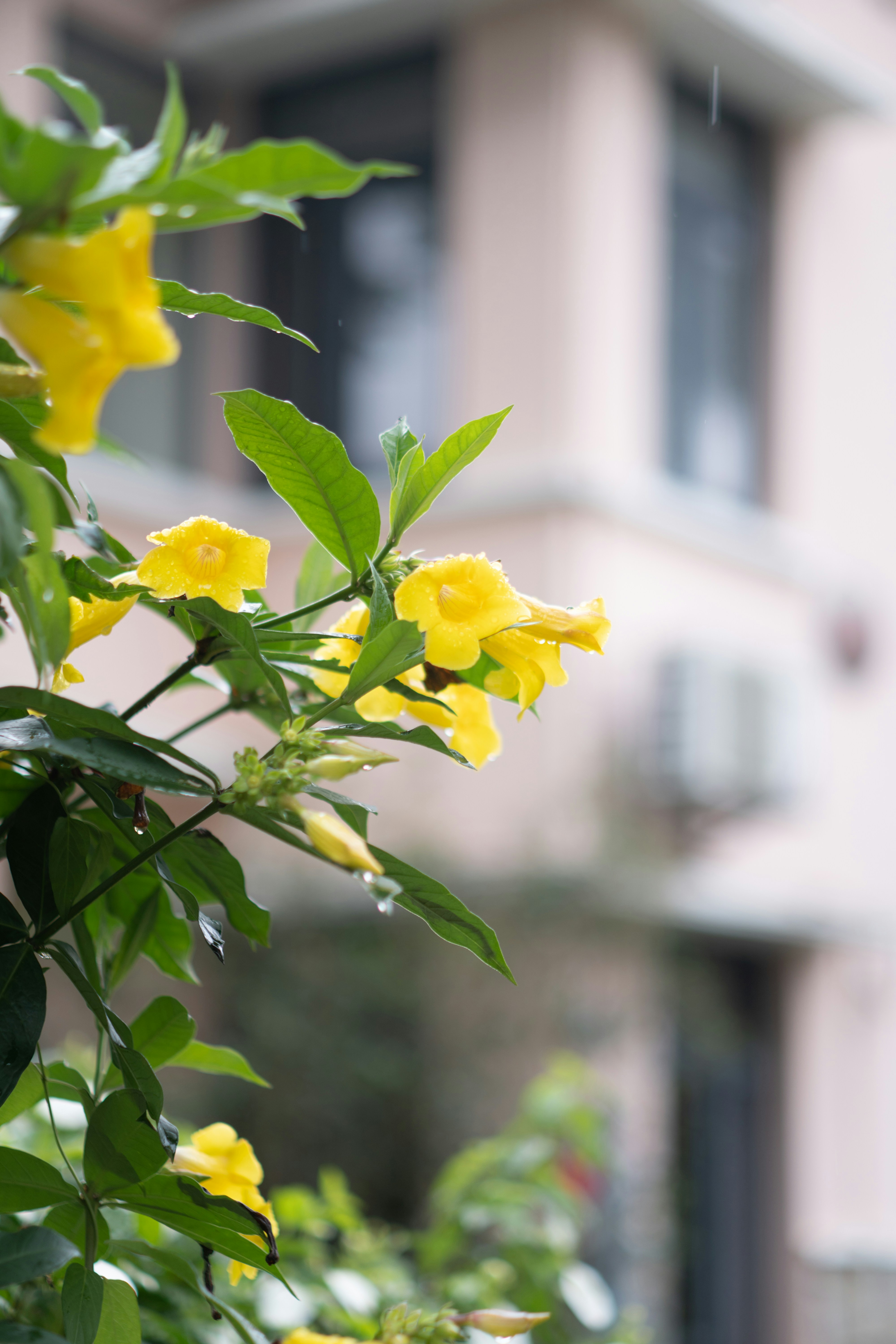 Photo by Shawn Rain with Sony Alpha 6400