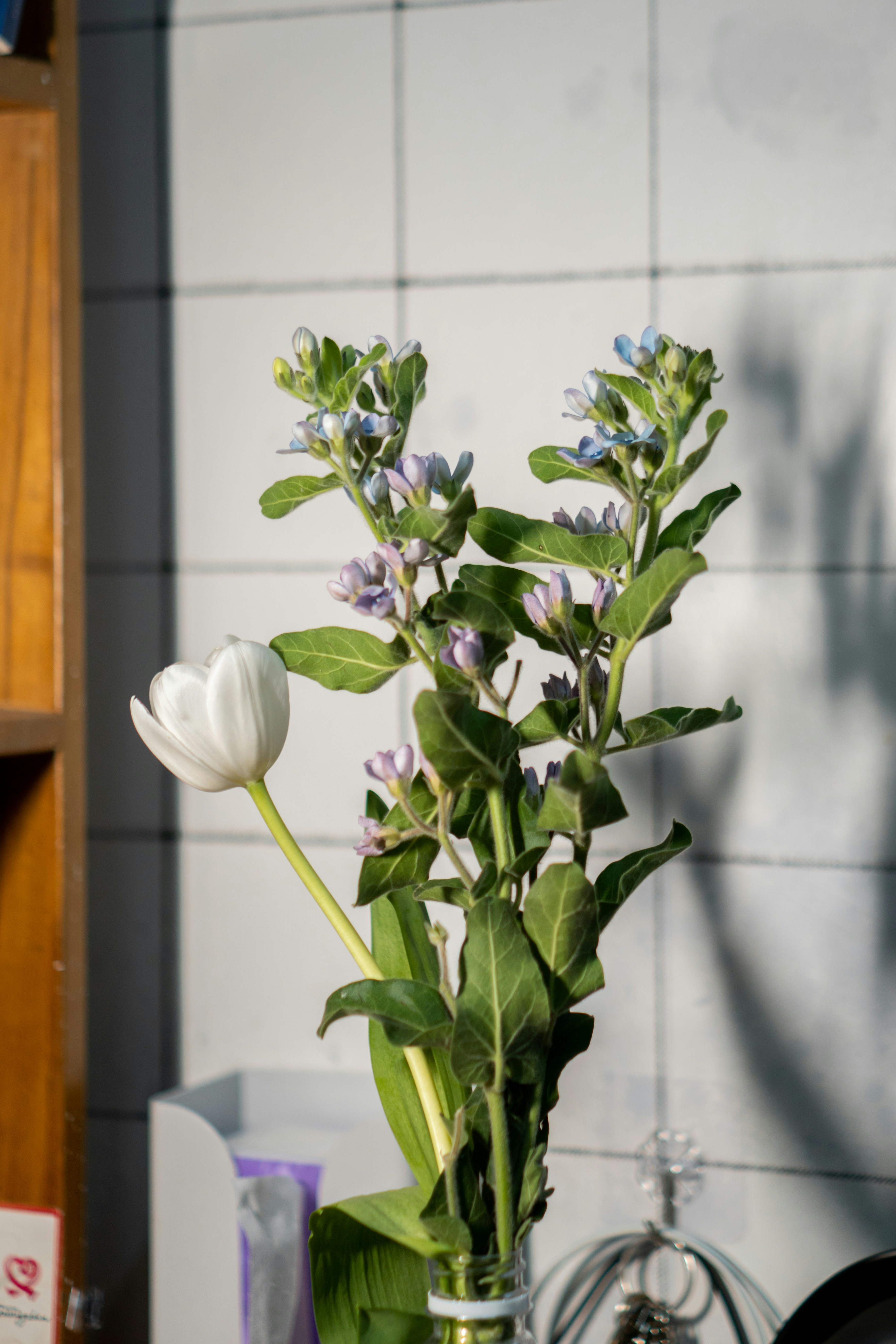 White Tulip and Lavender Sprigs: Quiet Still Life by a Grid Wall