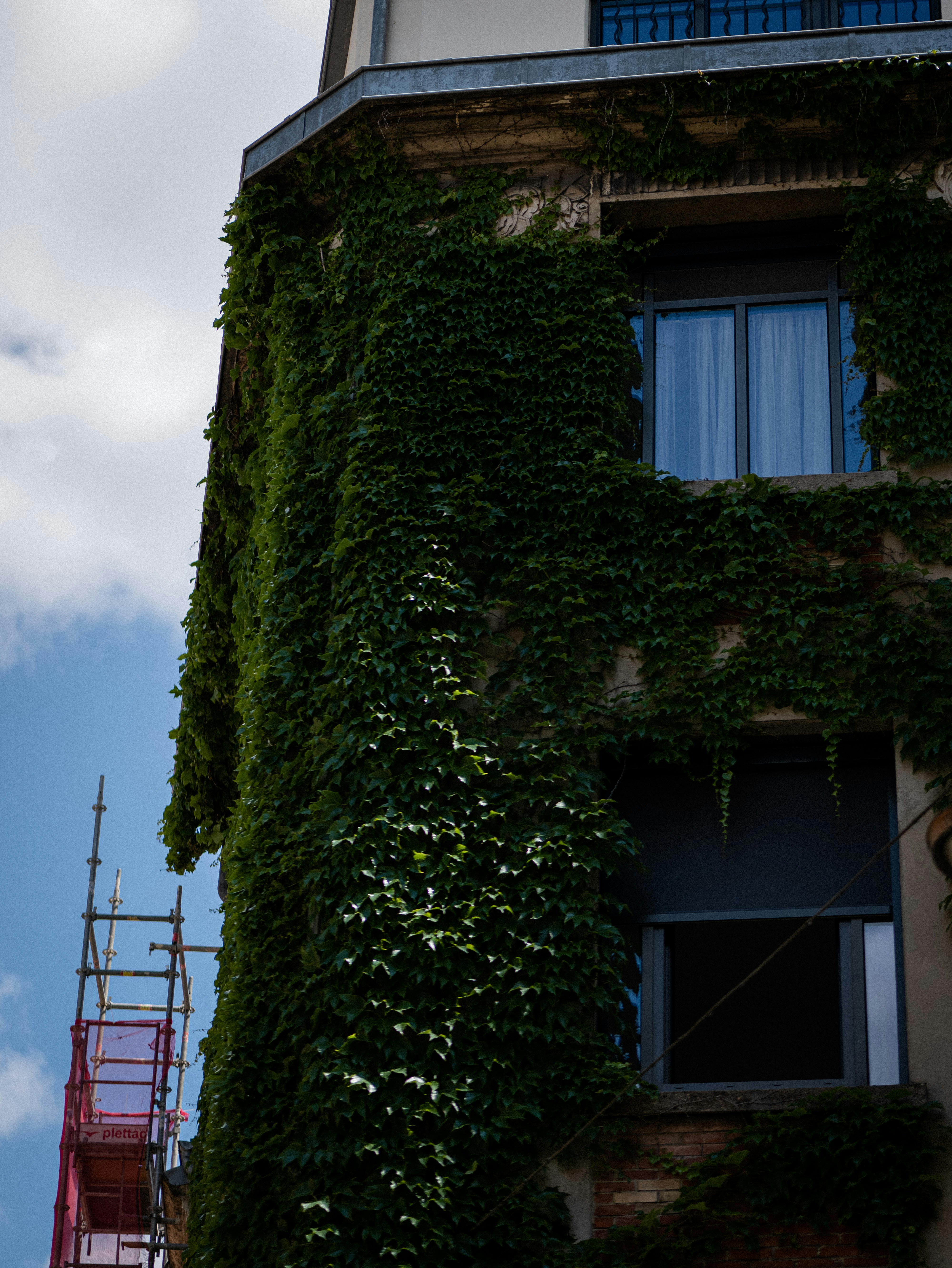 Ivy Overlook: A Sunlit Brick Facade Framed by Green Veils