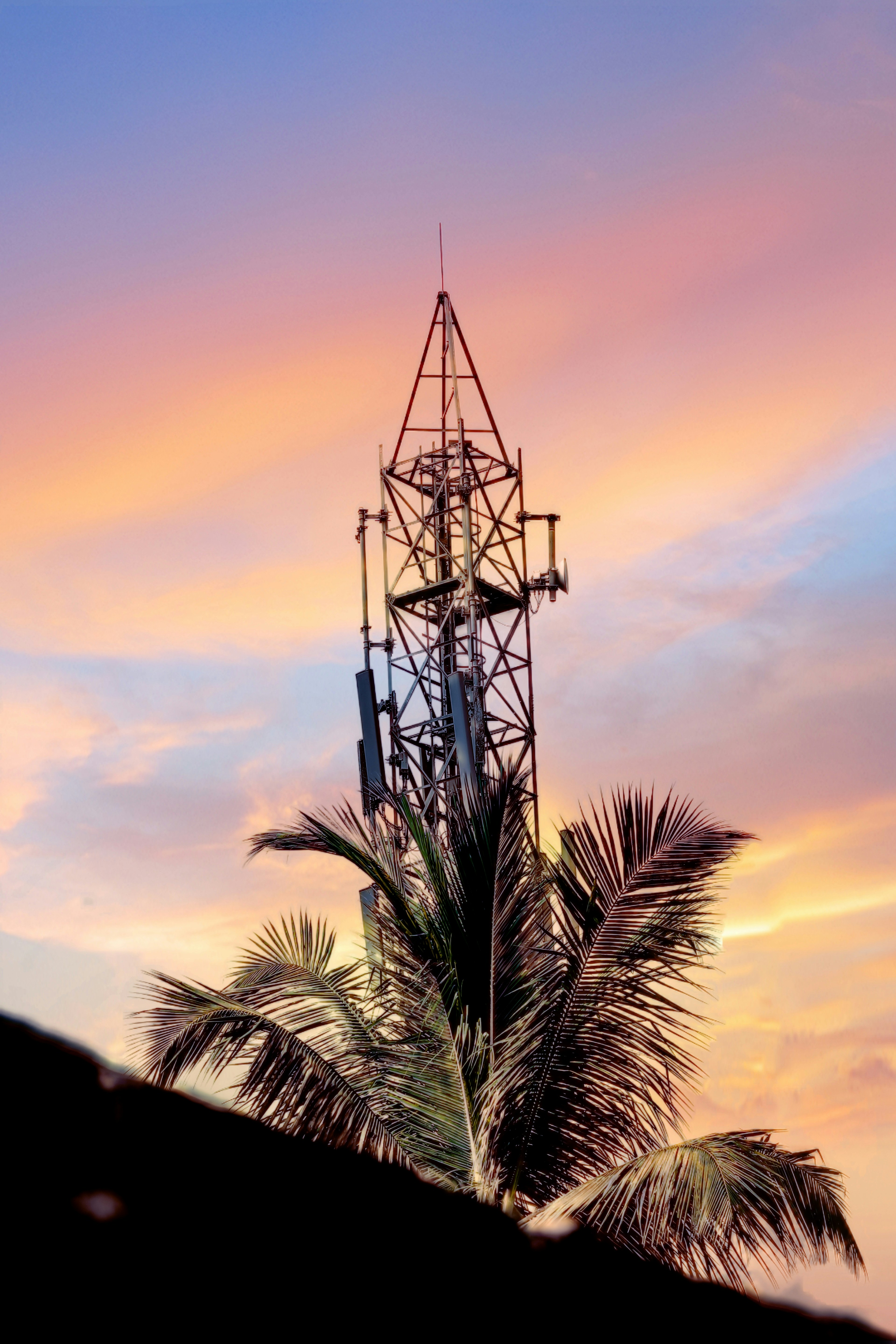 Sunset Spire: Palm-Fringed Tower Silhouette