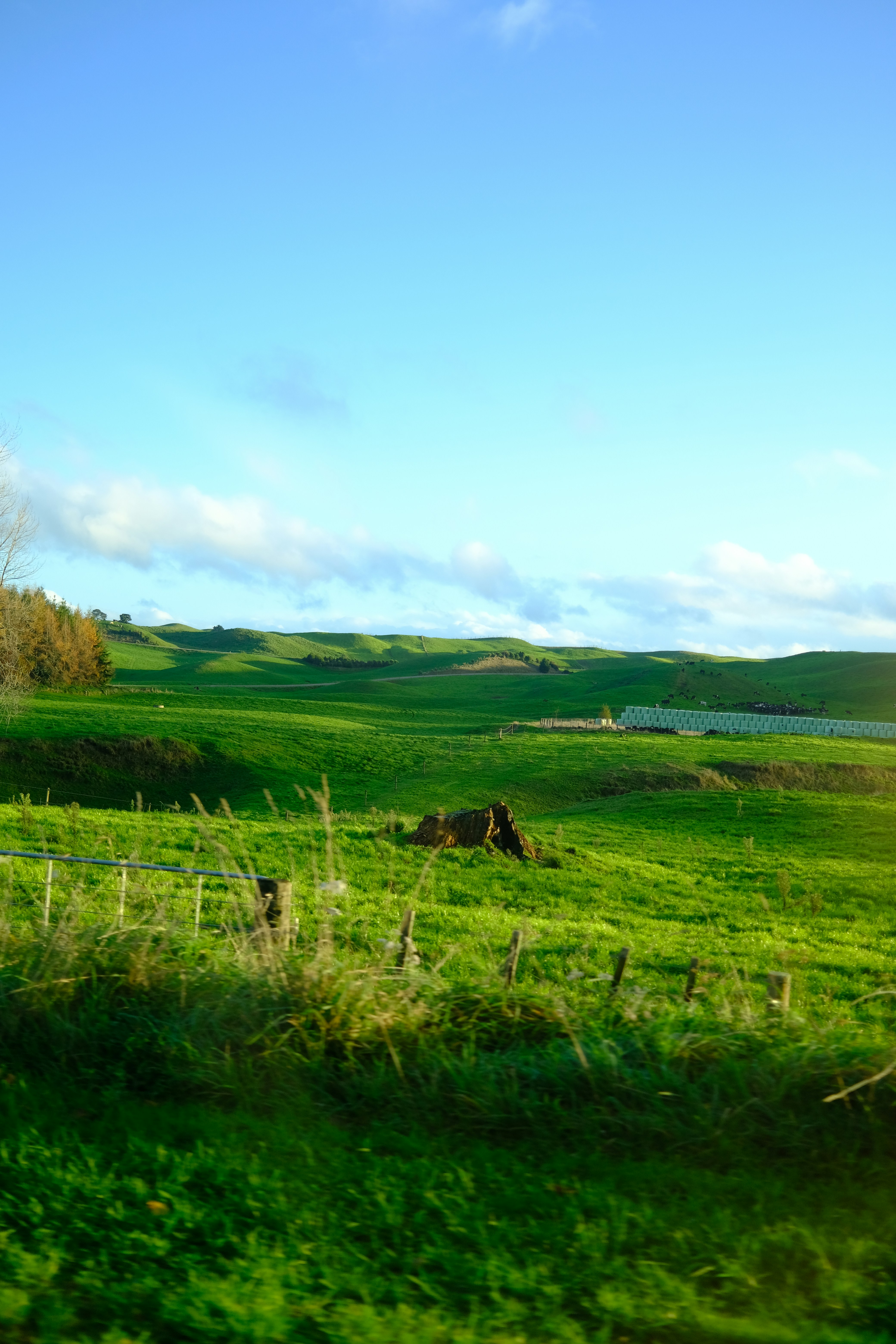 Verdant Ridges Beneath a Cerulean Sky