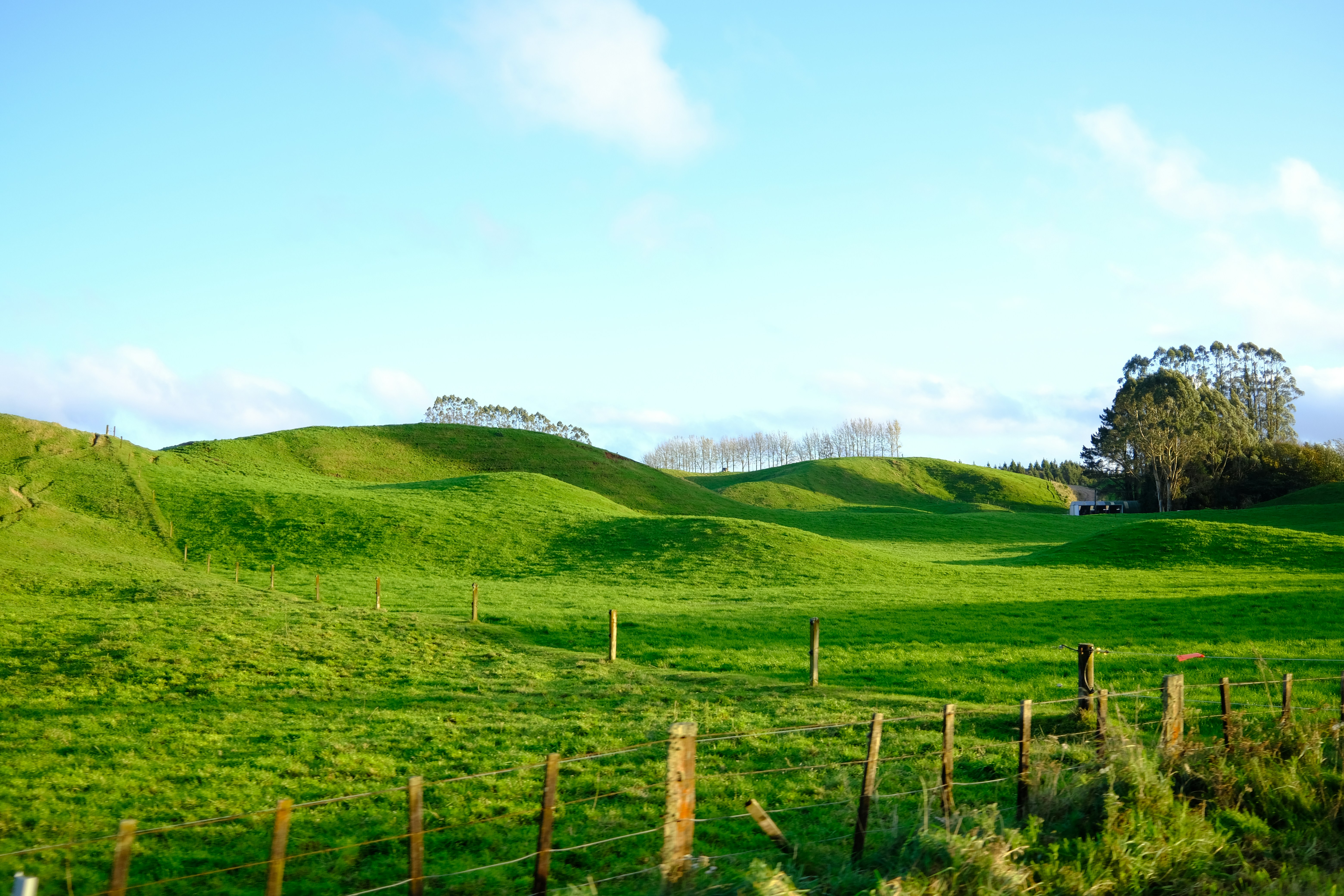 Green Velvet Hills and a Weathered Fence in Dappled Afternoon Light