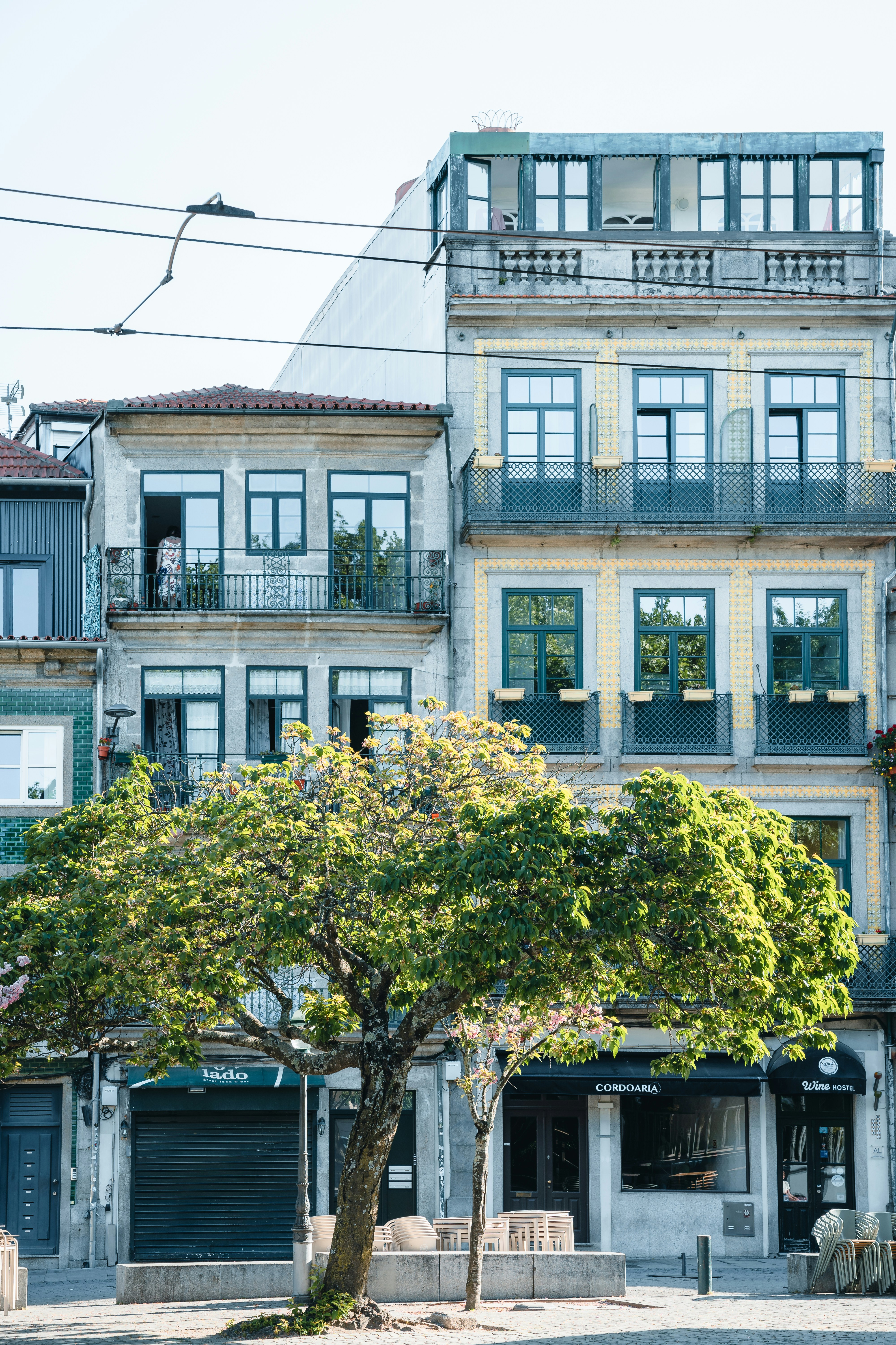 Facade of Time: Sunlit European Street with Balconies and a Verdant Canopy