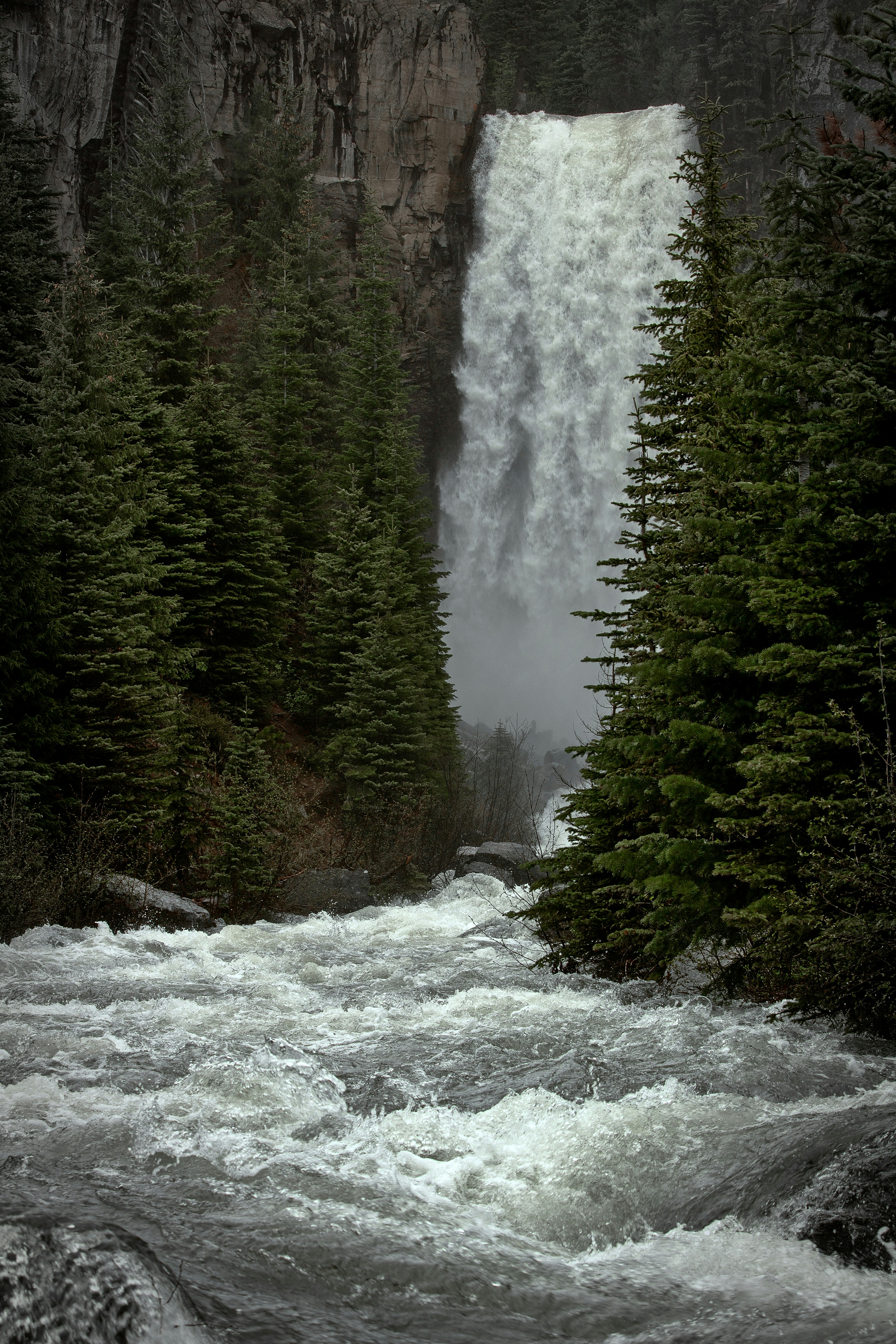 Waterfall Between Pines: Misty Gorge Framed by Evergreens