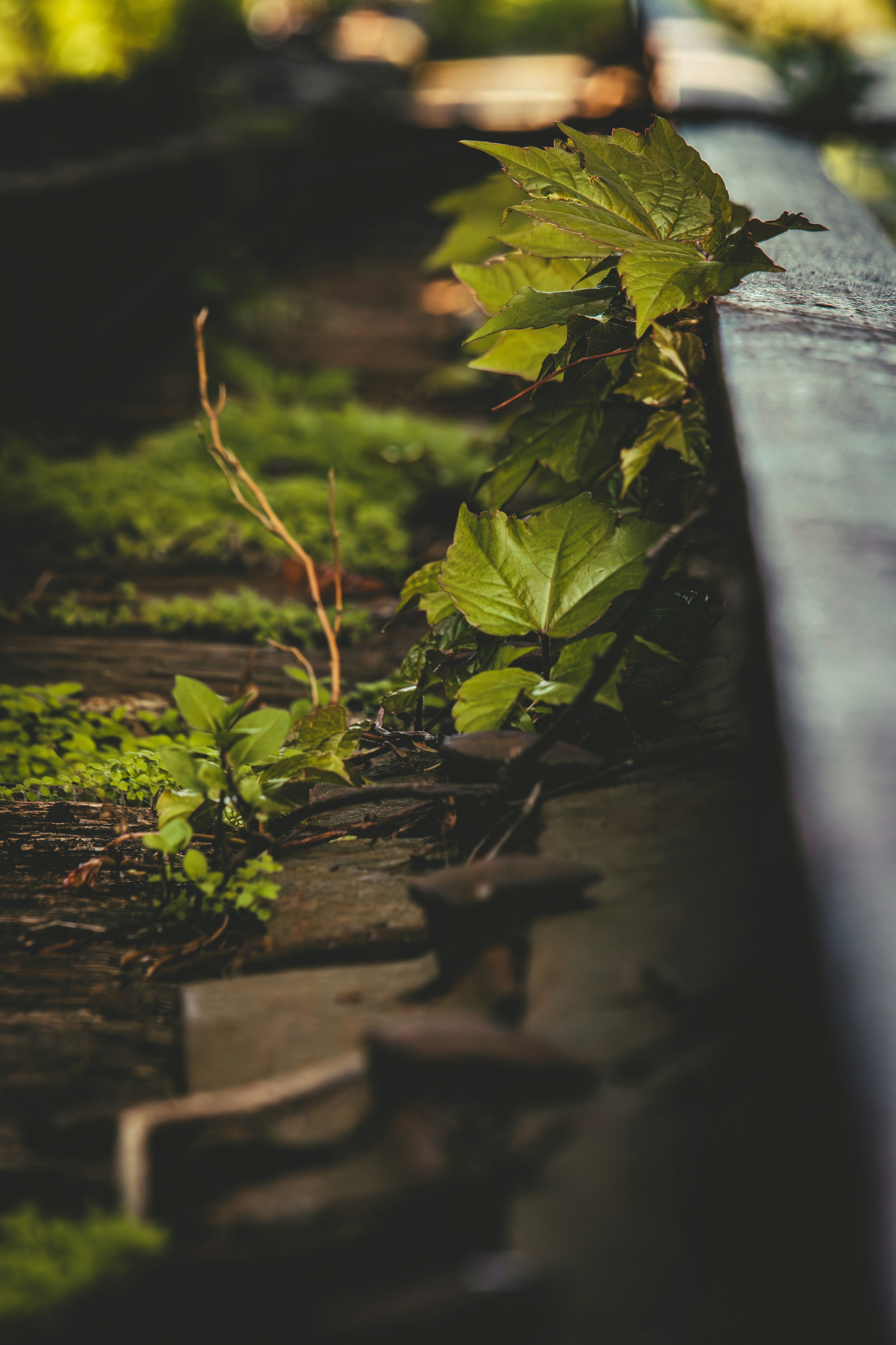 Photo by Brice Cooper with Canon EOS 250D