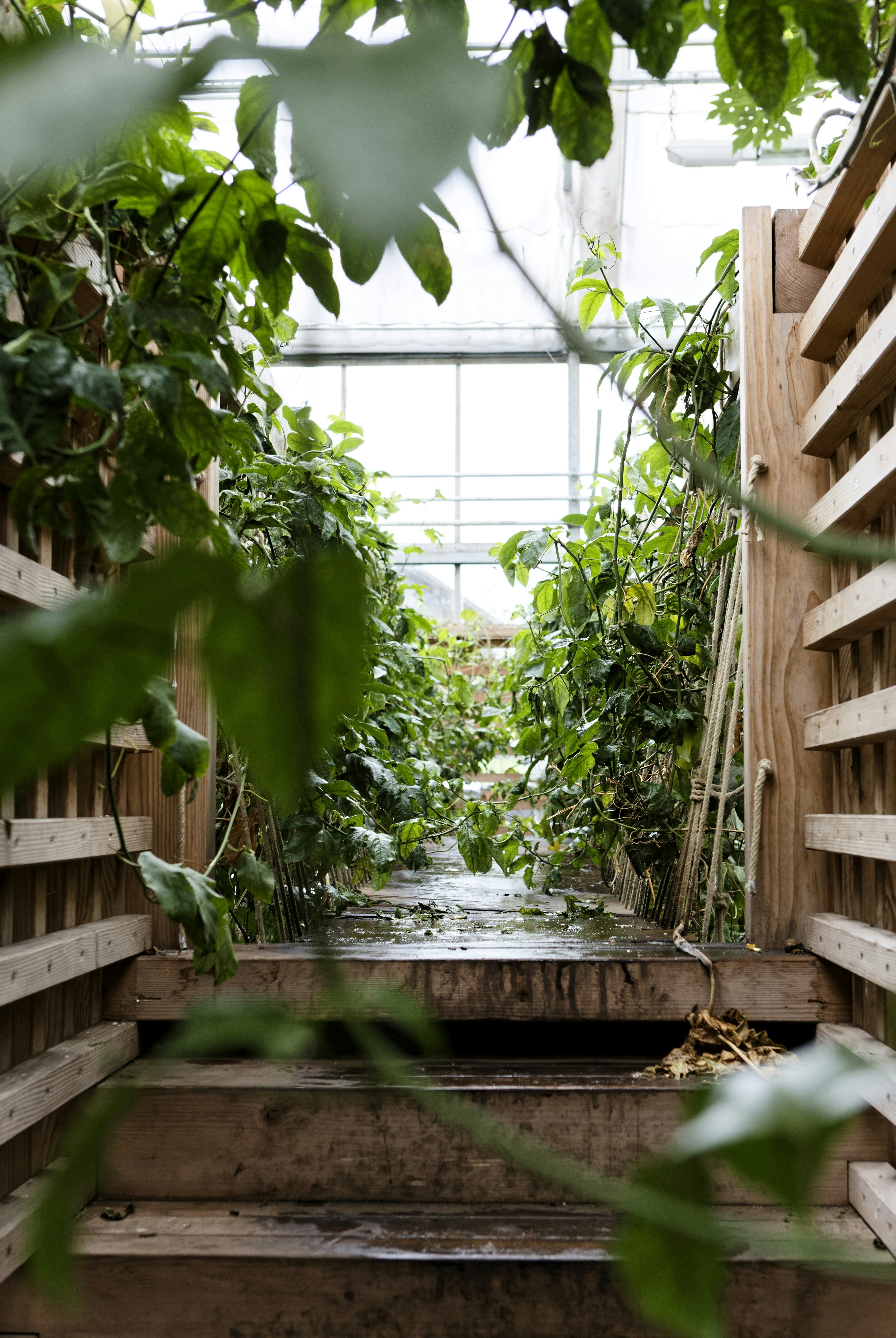 Photo by Stefan Lehner with Canon EOS 5D Mark III