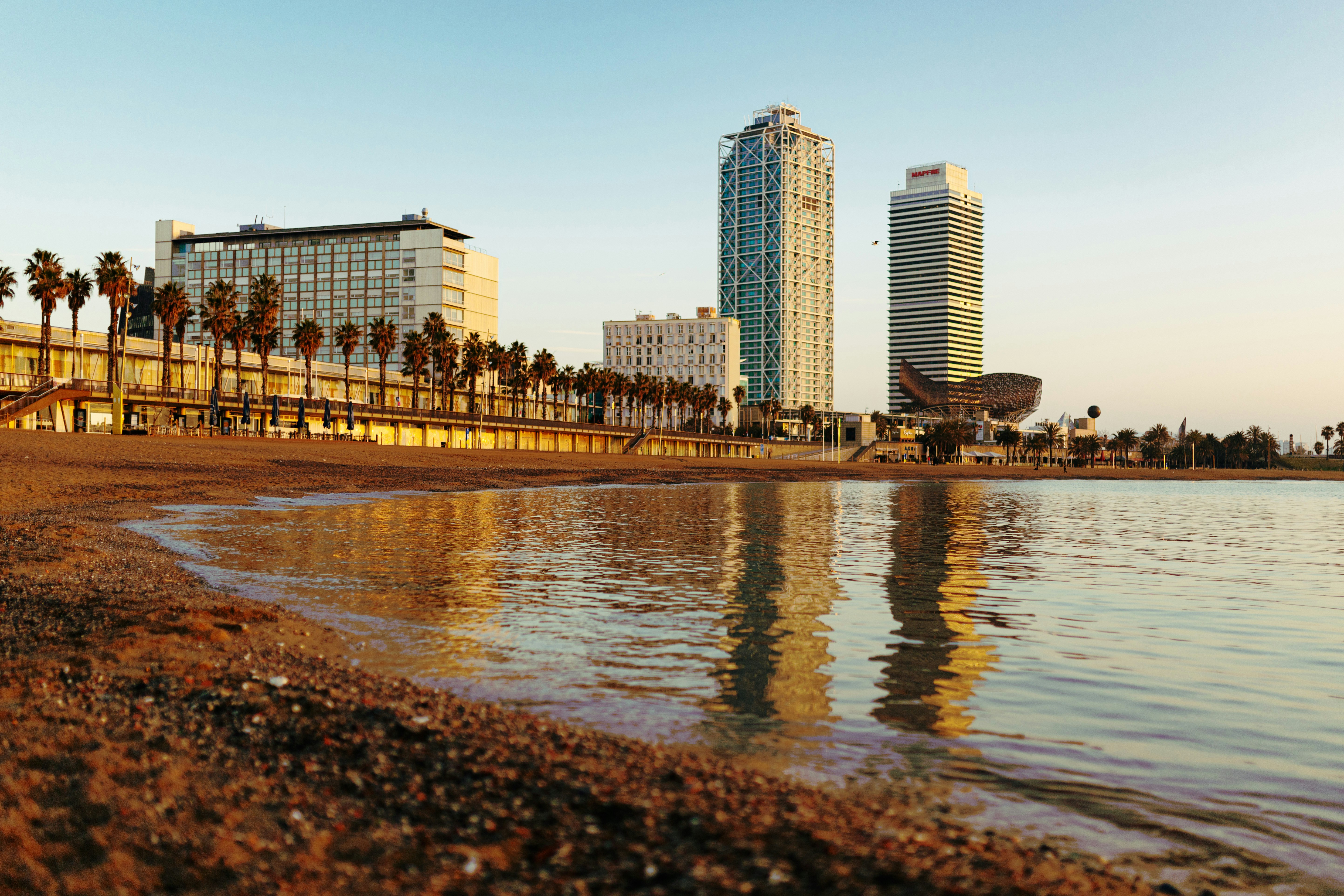 A beach next to a city with tall buildings photo – Free Barcelona Image ...