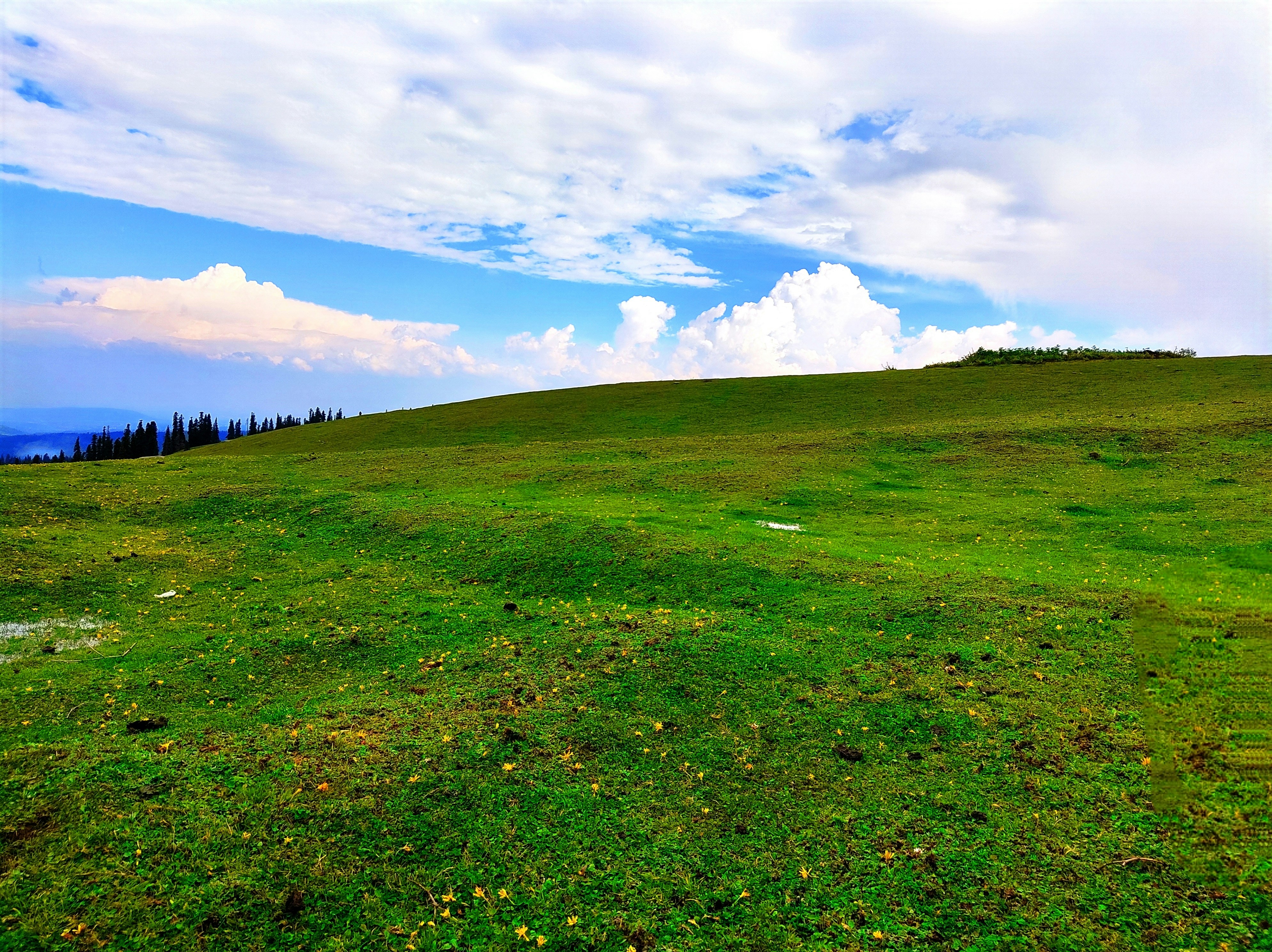 Beautiful landscape of grassland with clouds view in blue sky